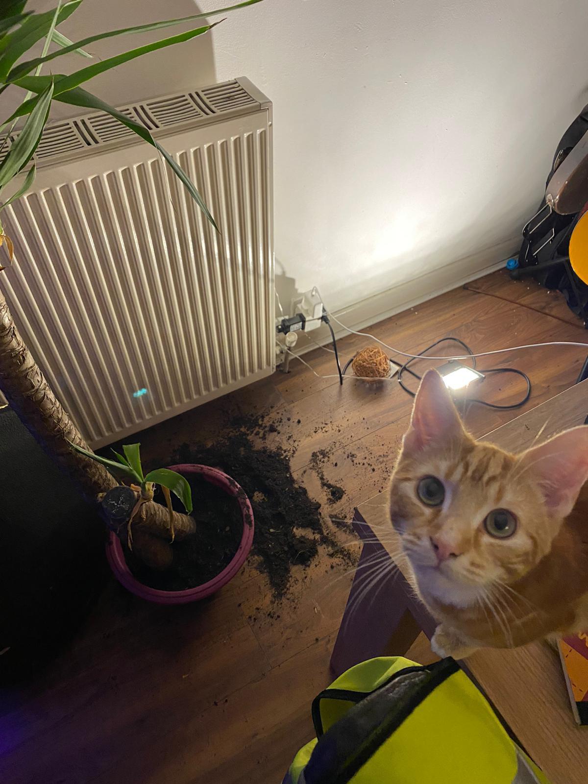 He looks so proud! | Scrolller