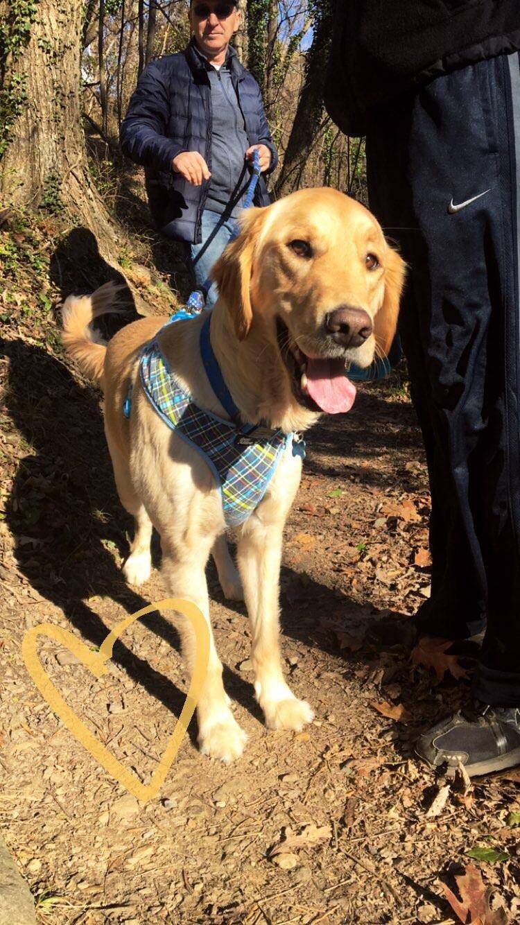 He loves hikes | Scrolller