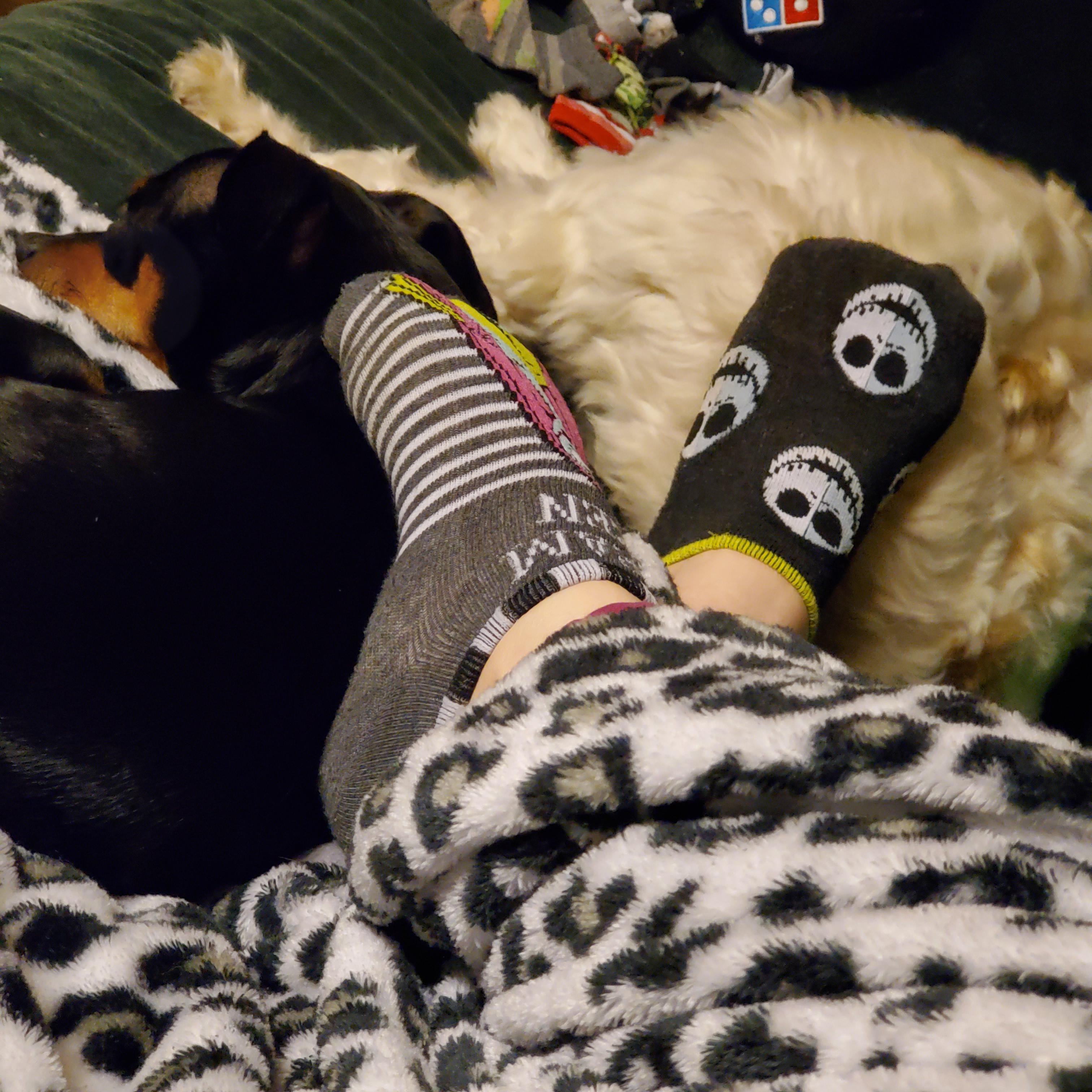 He loves my feet!!! | Scrolller