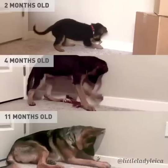 he obsessed | Scrolller