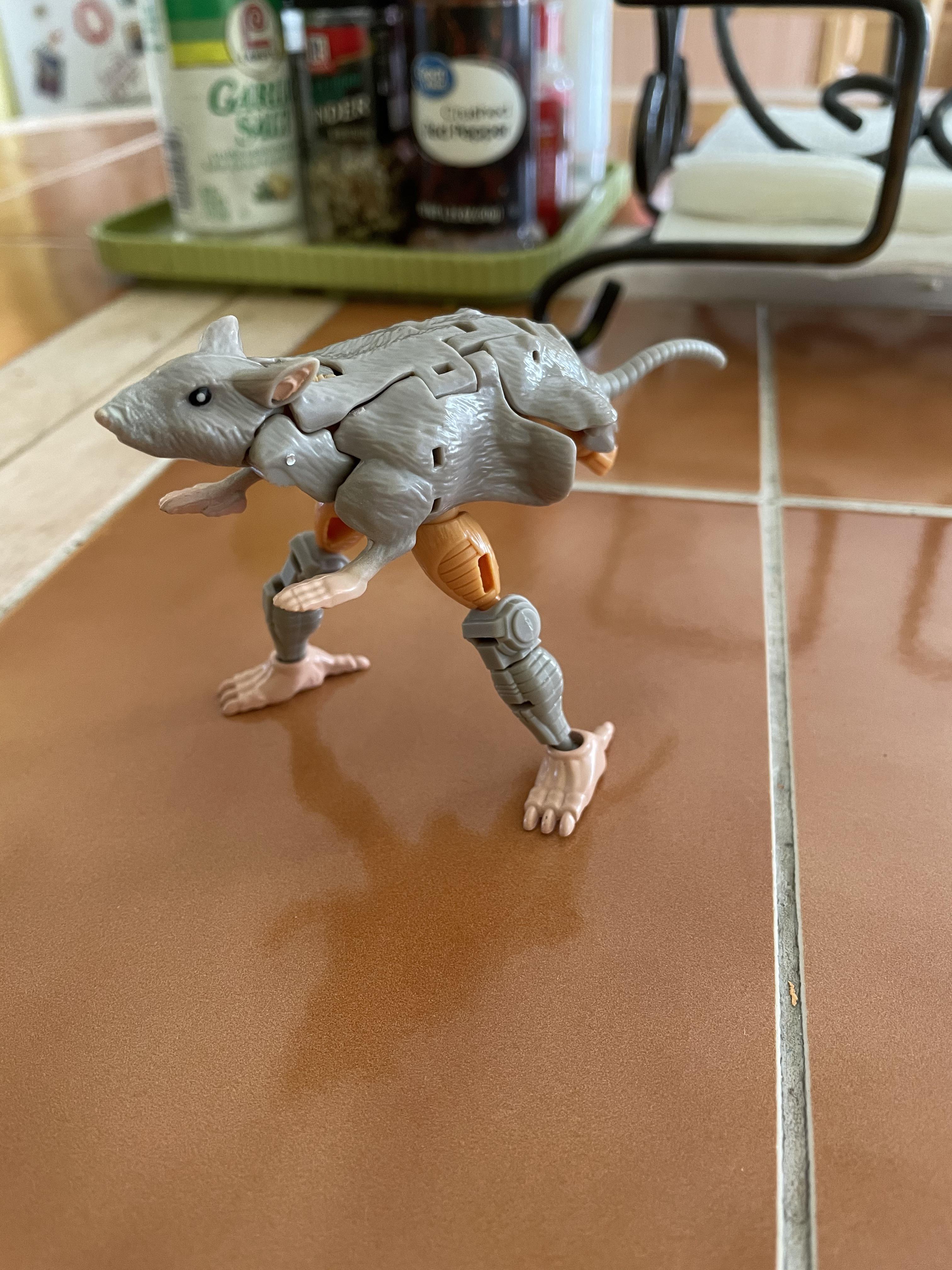 He’s faster. Much faster. | Scrolller