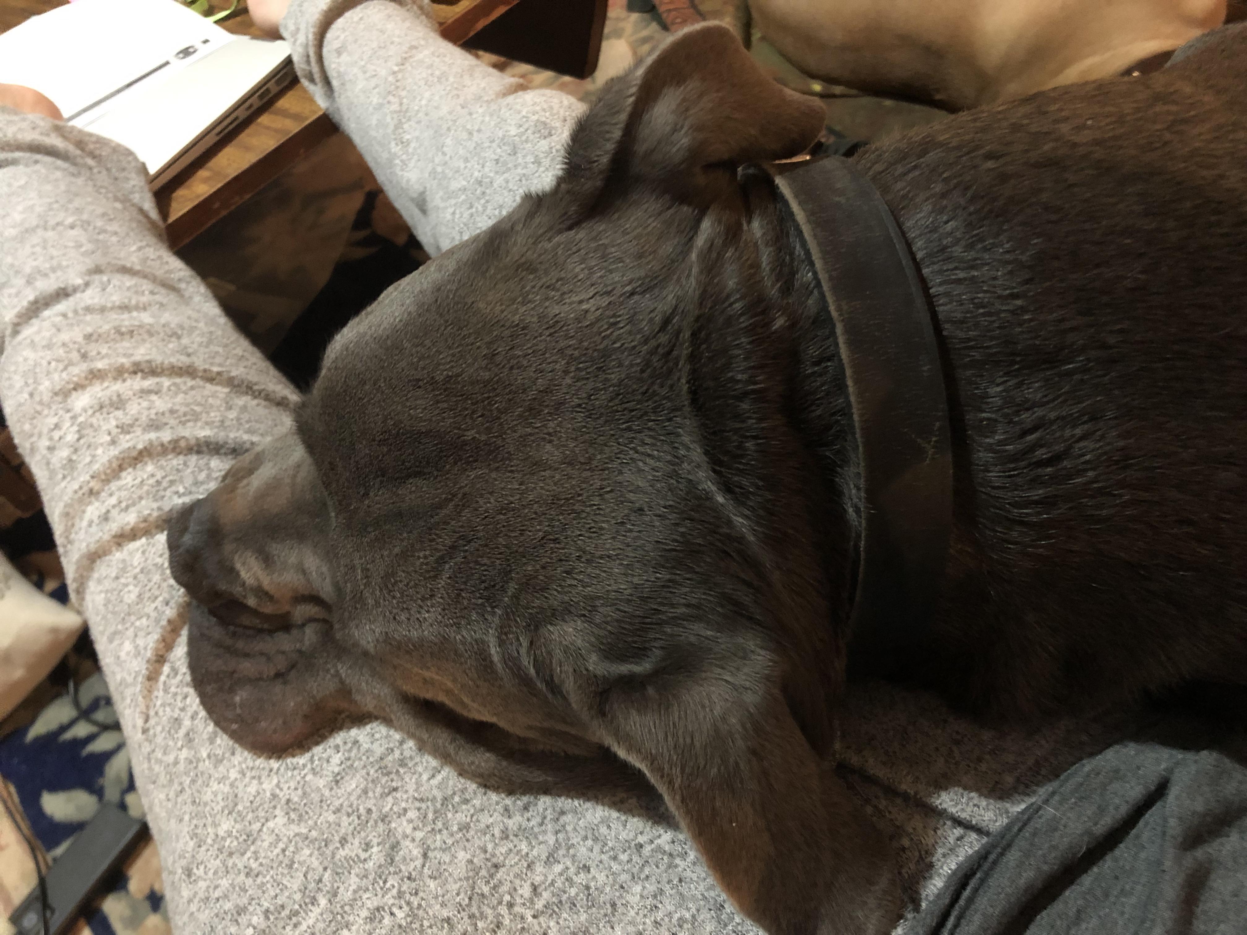 He’s melting! | Scrolller