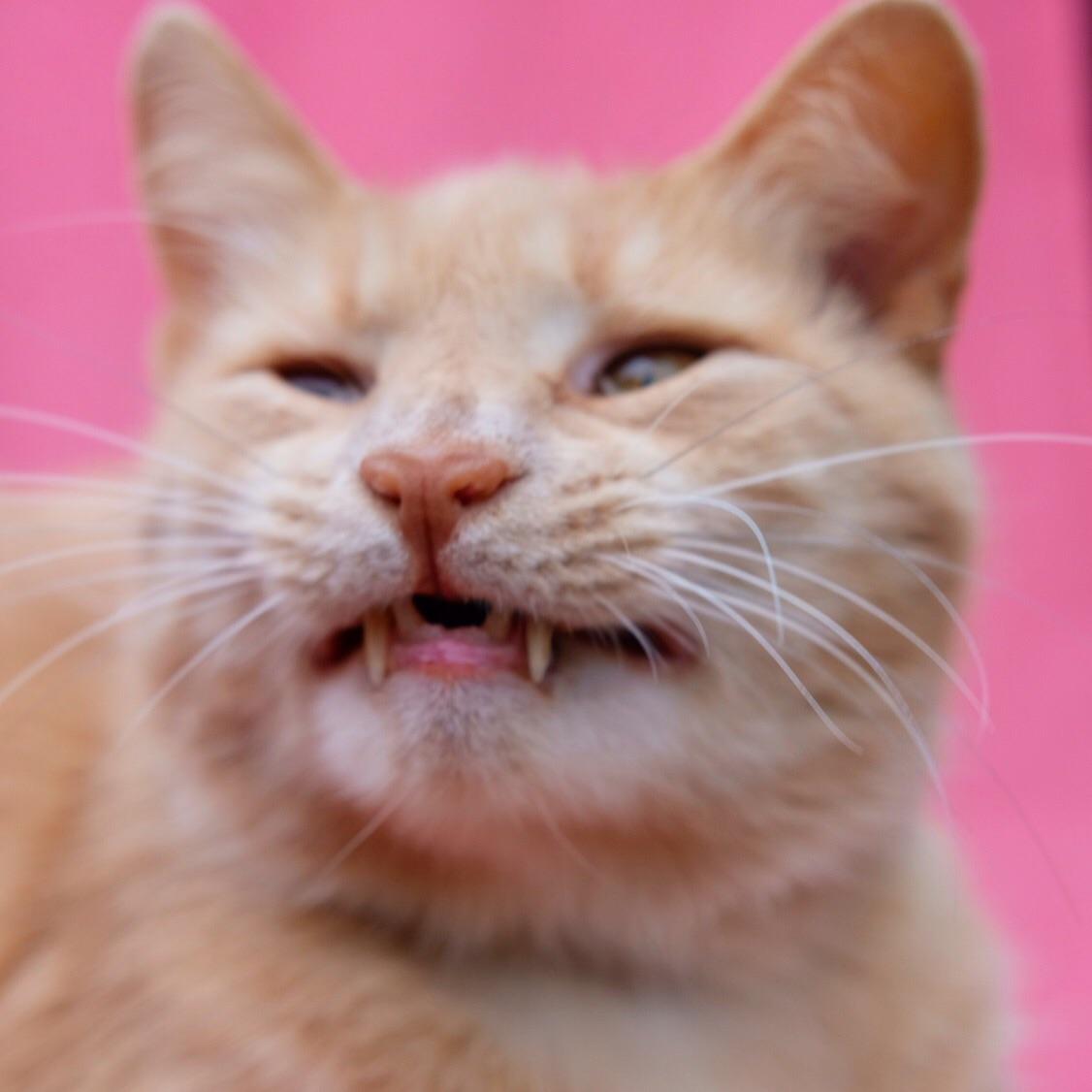 He scrunge | Scrolller