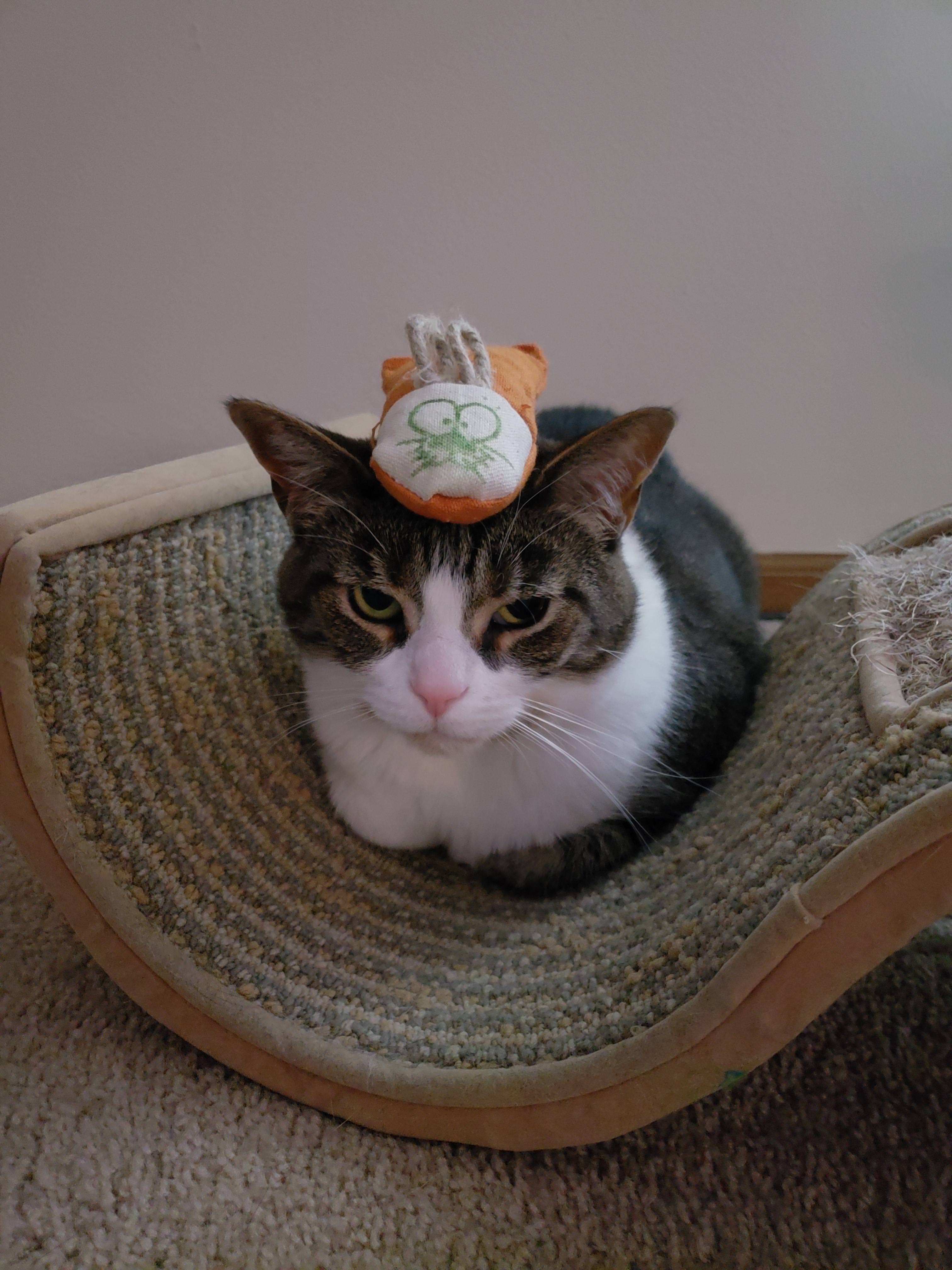 He was not amused | Scrolller