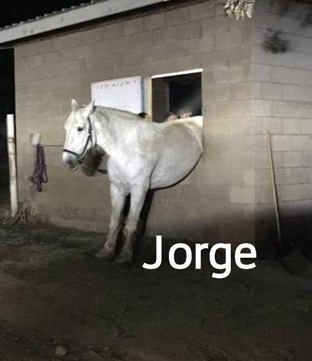 He, whomst is stuck | Scrolller