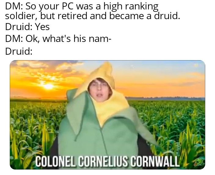 He wore an armour made out of corn that was stronger than steel...its name, CROP TOP! | Scrolller