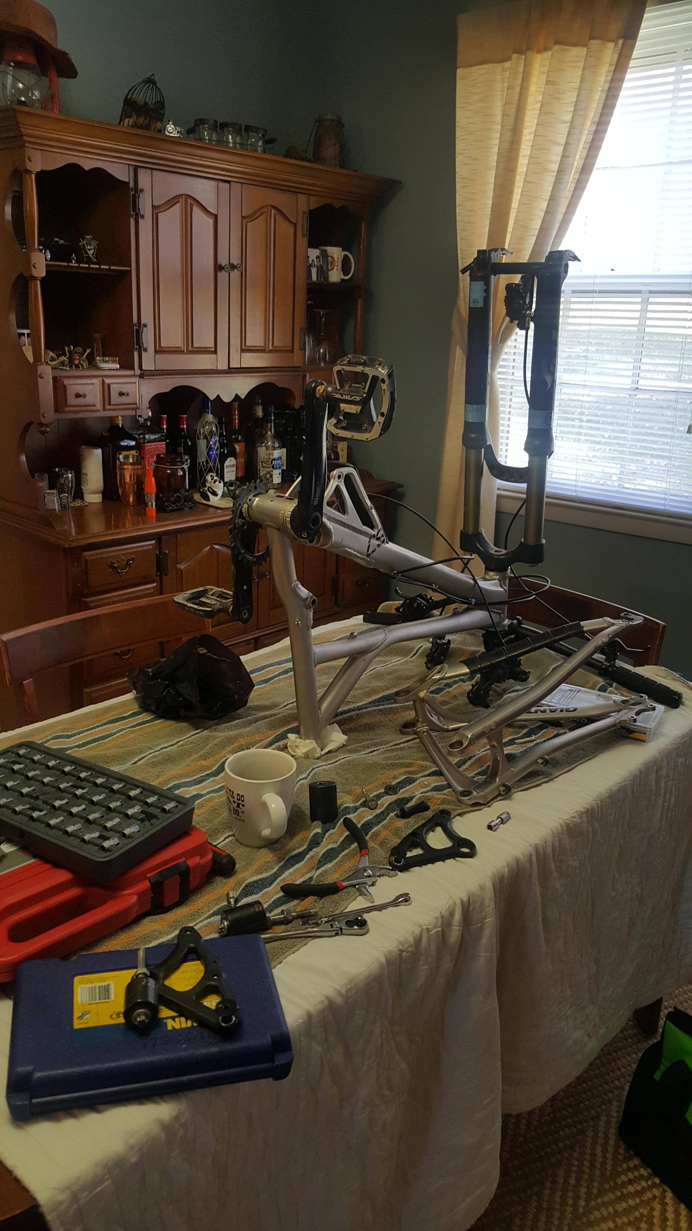 Heard a squeak | Scrolller