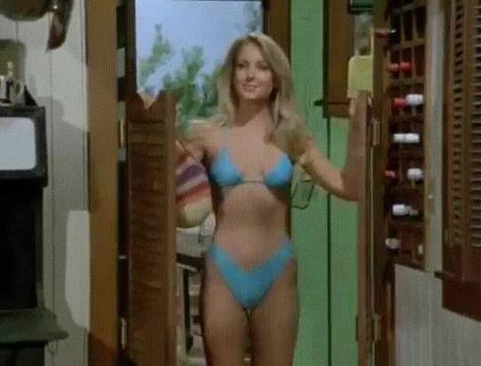 Heather Thomas as Jody Banks in The Fall Guy (1981-1986) | Scrolller