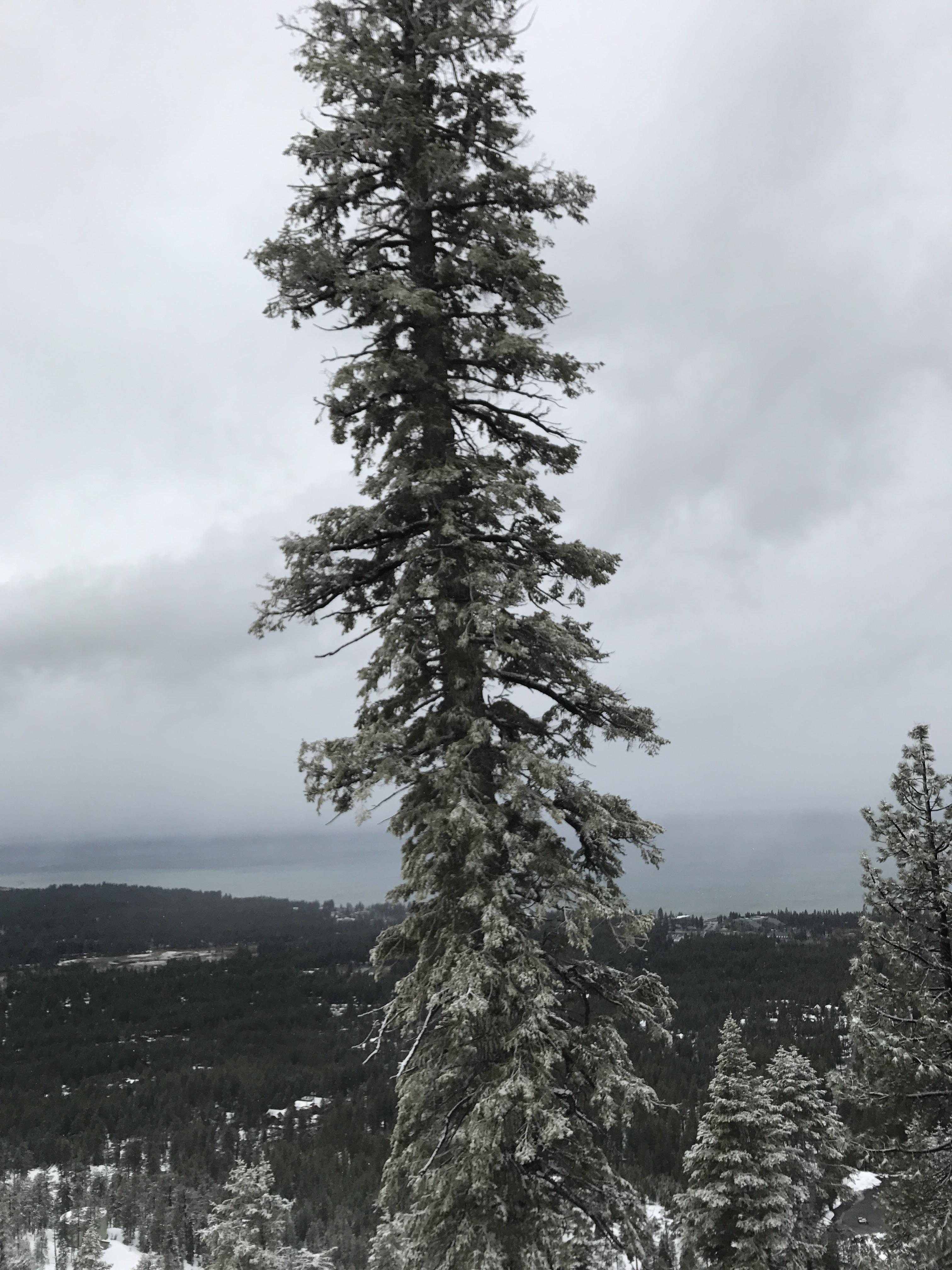 Heavenly Lake Tahoe | Scrolller
