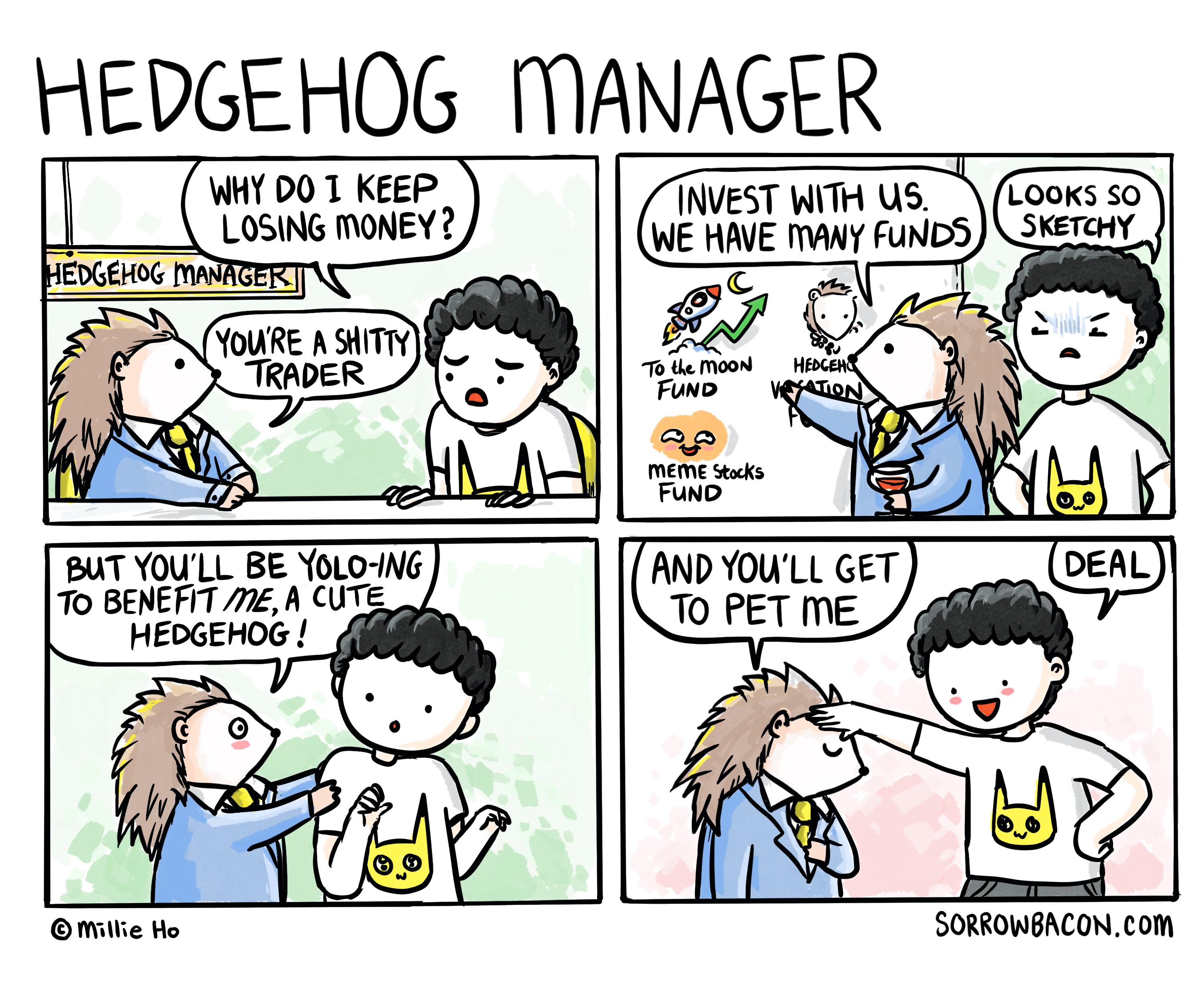 Hedgehog Manager | Scrolller