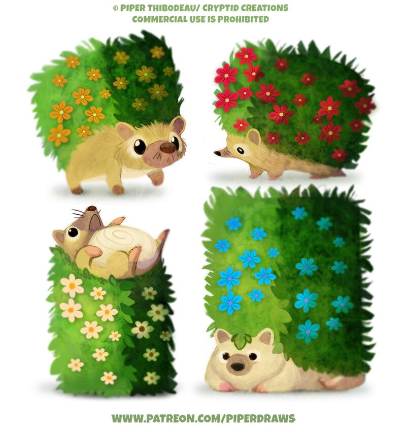 Hedgehogs by Piper Thibodeau | Scrolller