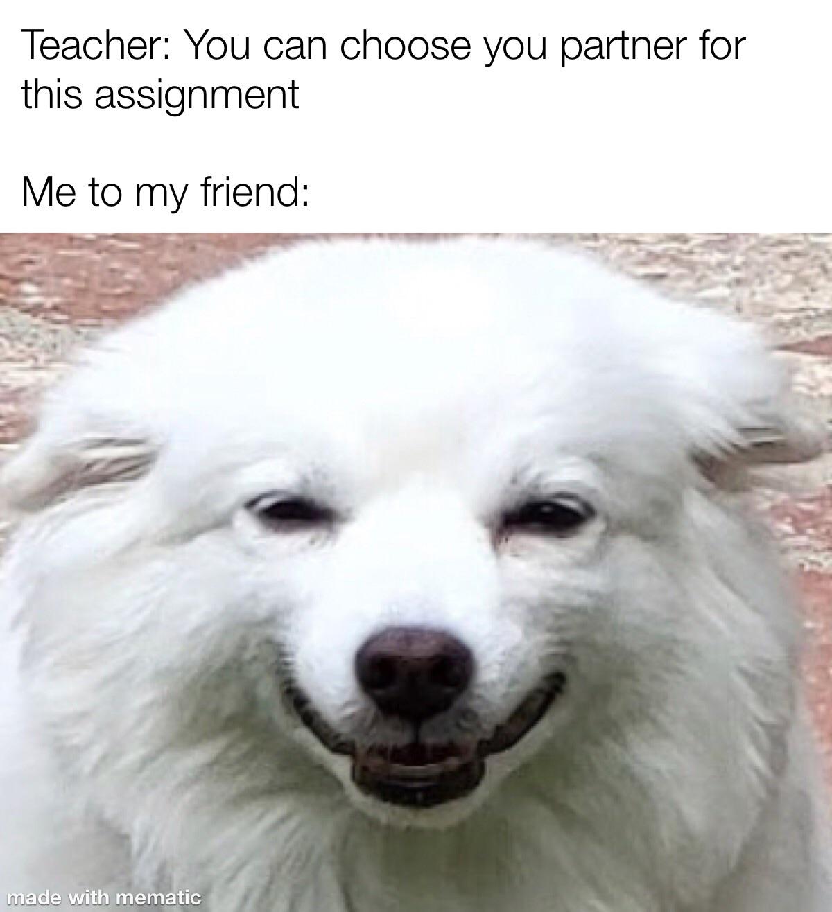 Hee hee hoo hoo | Scrolller