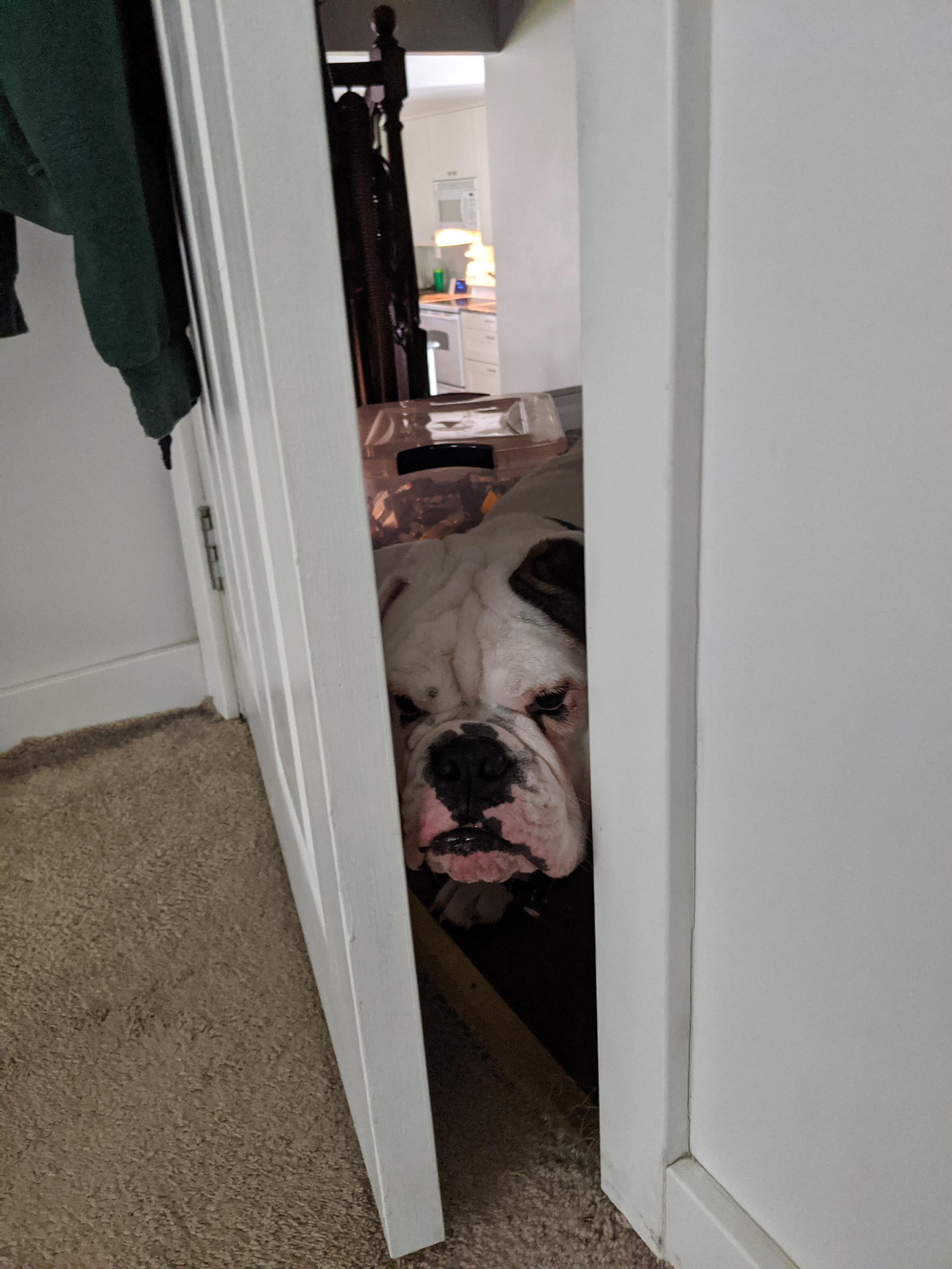 Heeere's Johnny! | Scrolller