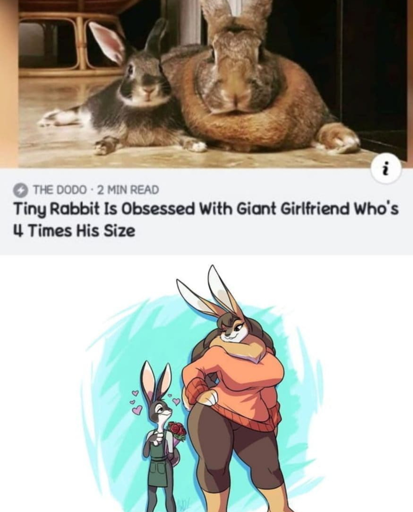 Height Doesn't Matter :3 | Scrolller