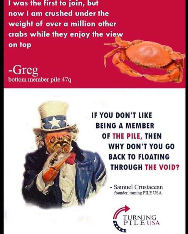 Hello greg | Scrolller