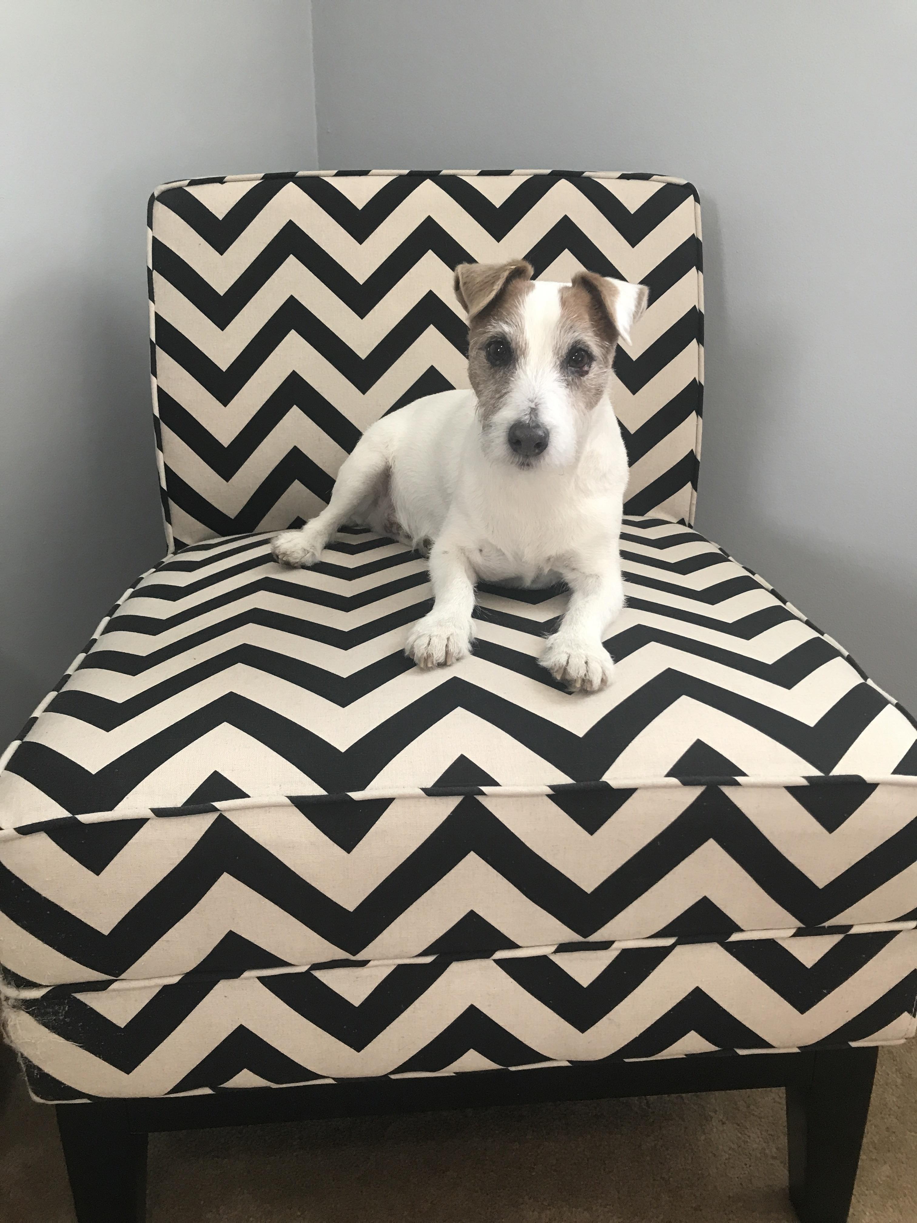 Hello, ladies. Nice to meet you. I’m Bear | Scrolller