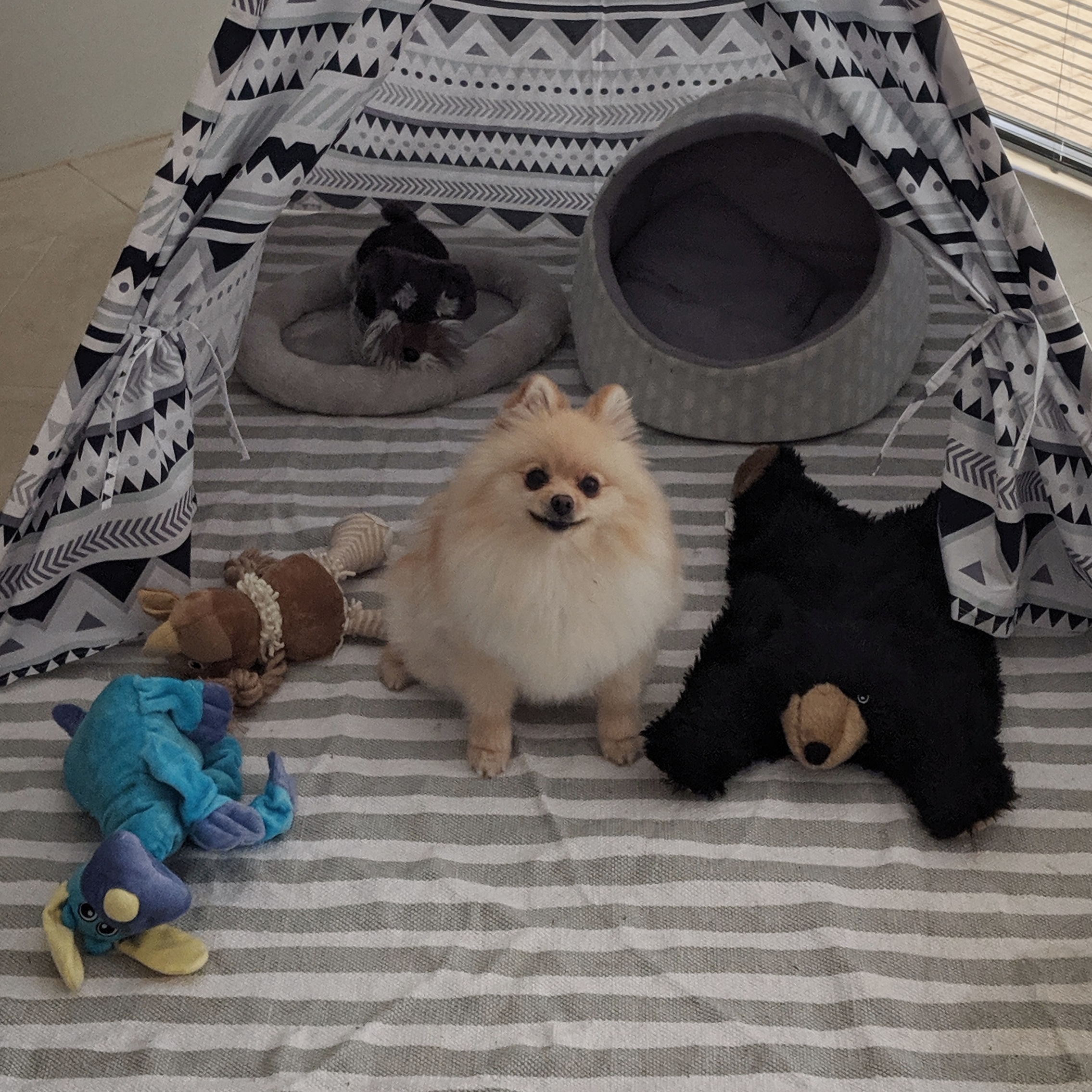 Hello Mtv And Welcome To My Crib Scrolller