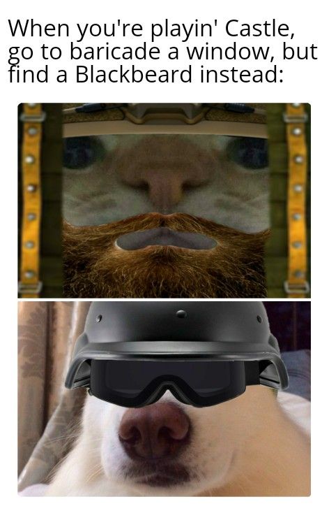 Hello there! General Blackbeard! | Scrolller