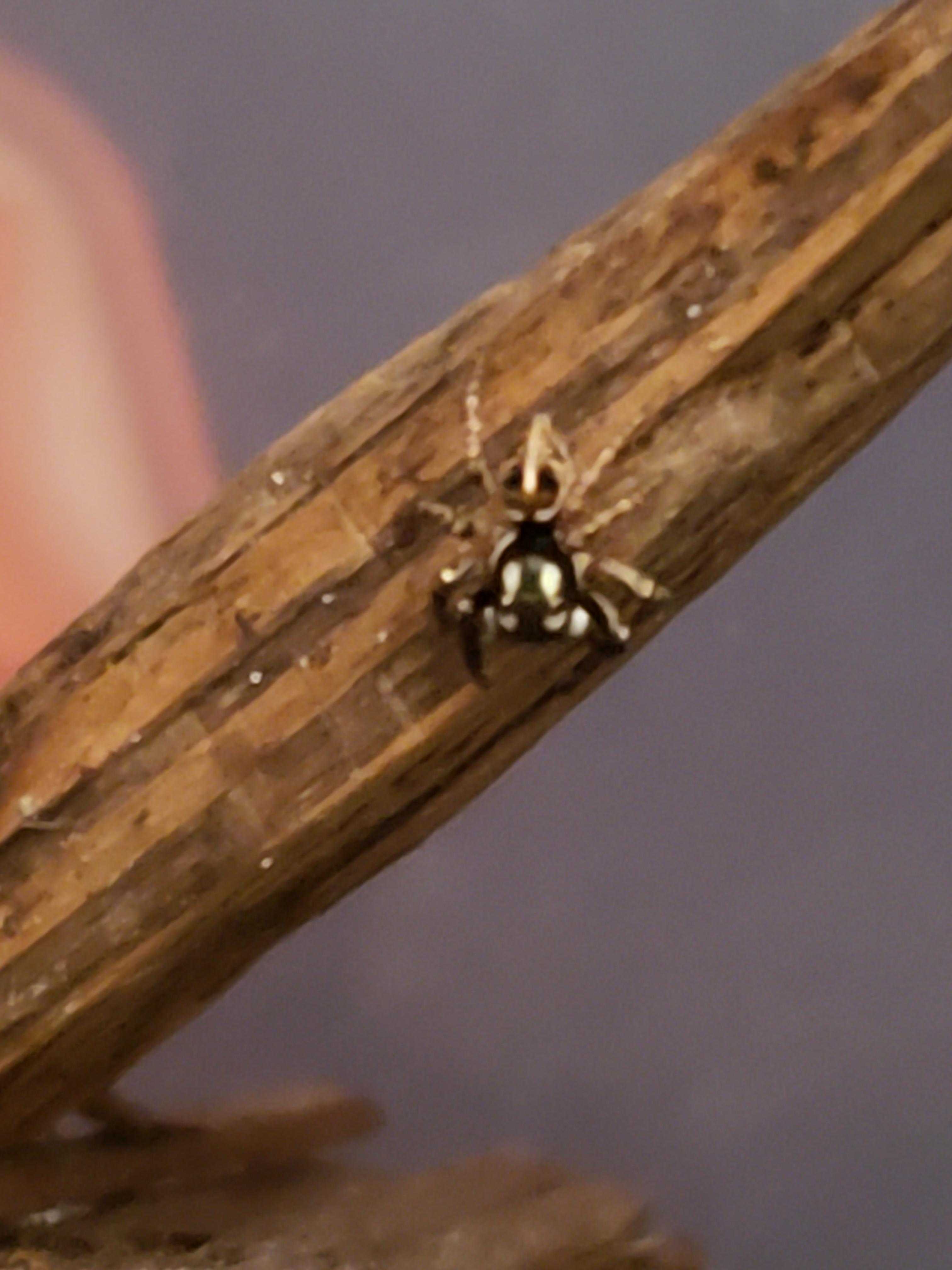 Help IDing jumper? I'm in south/coastal Texas :) | Scrolller