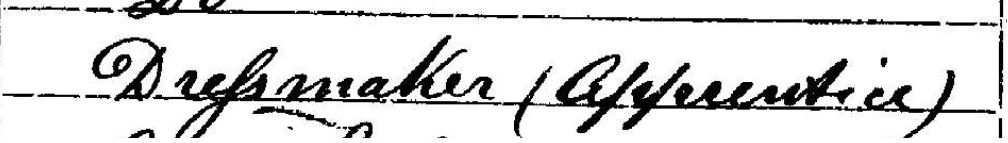 Help read Census Occupation please. | Scrolller