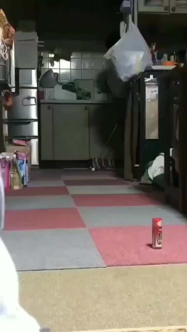 Helping the human hit the target | Scrolller