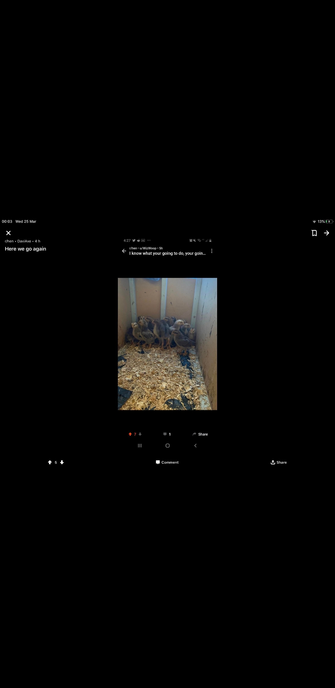 Hen I guess | Scrolller