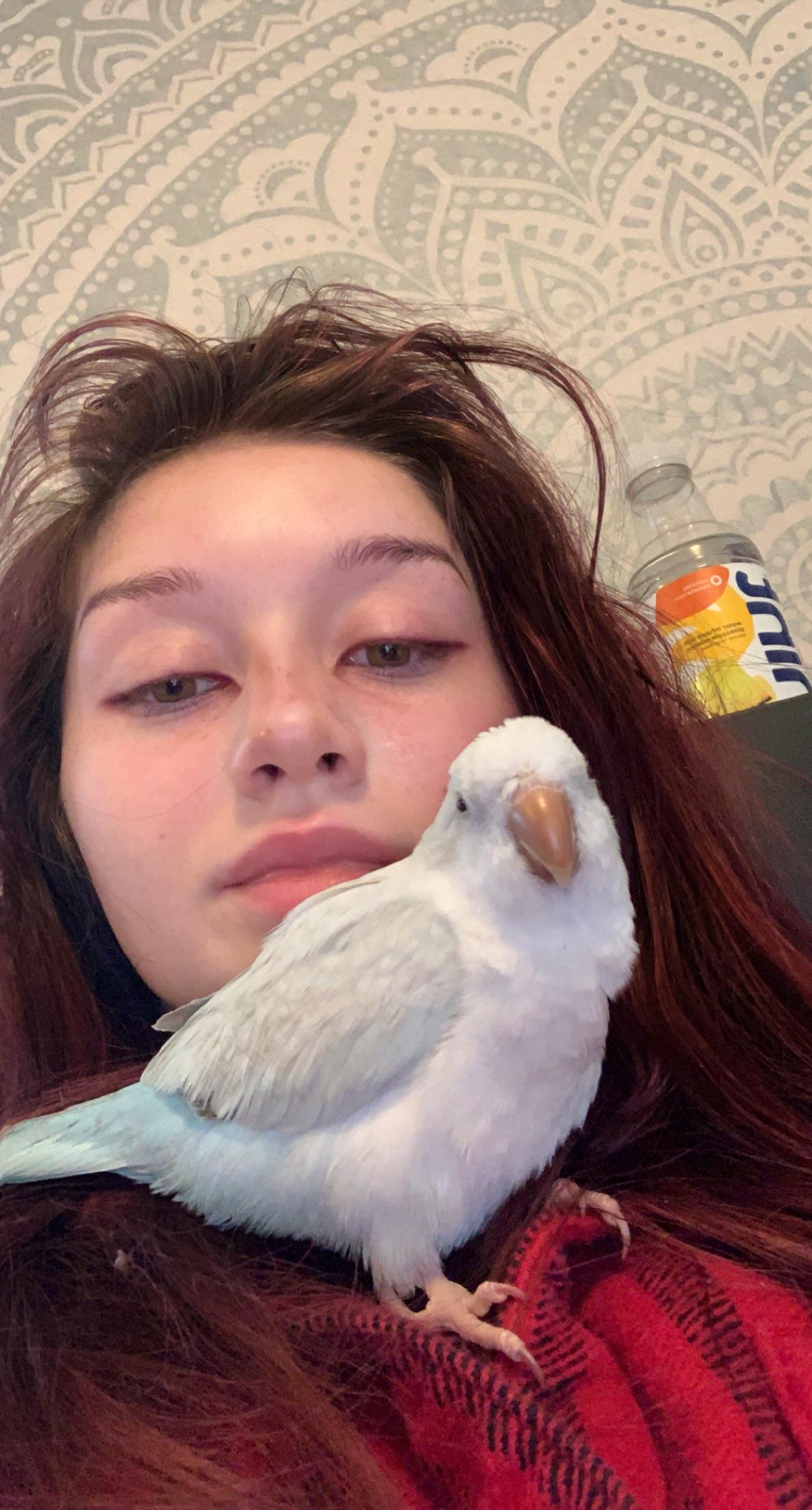 Her favorite thing to do is selfies, she loves to admire her reflection. 10/10 very photogenic ...