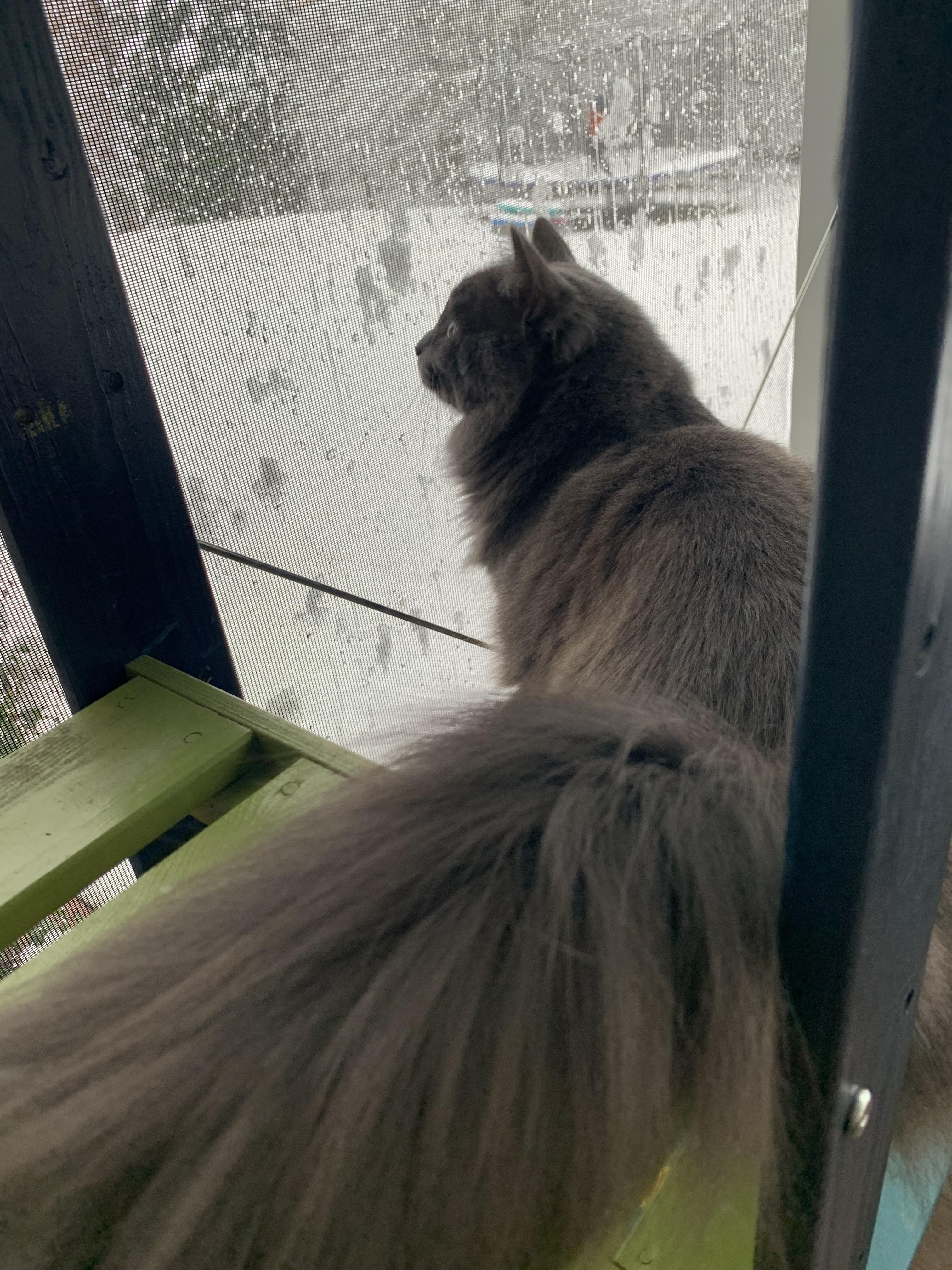 Her first snowfall | Scrolller