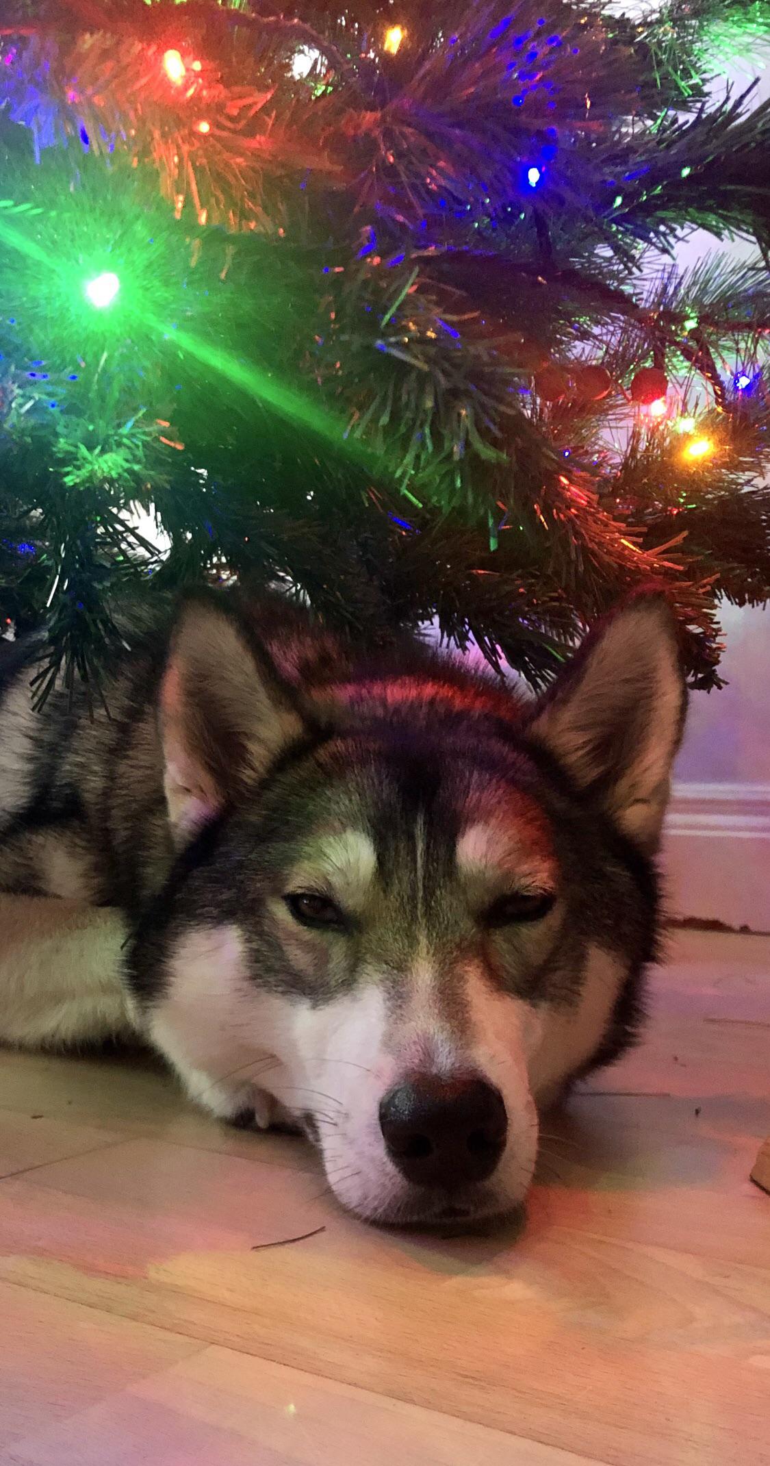 Her new favourite place | Scrolller