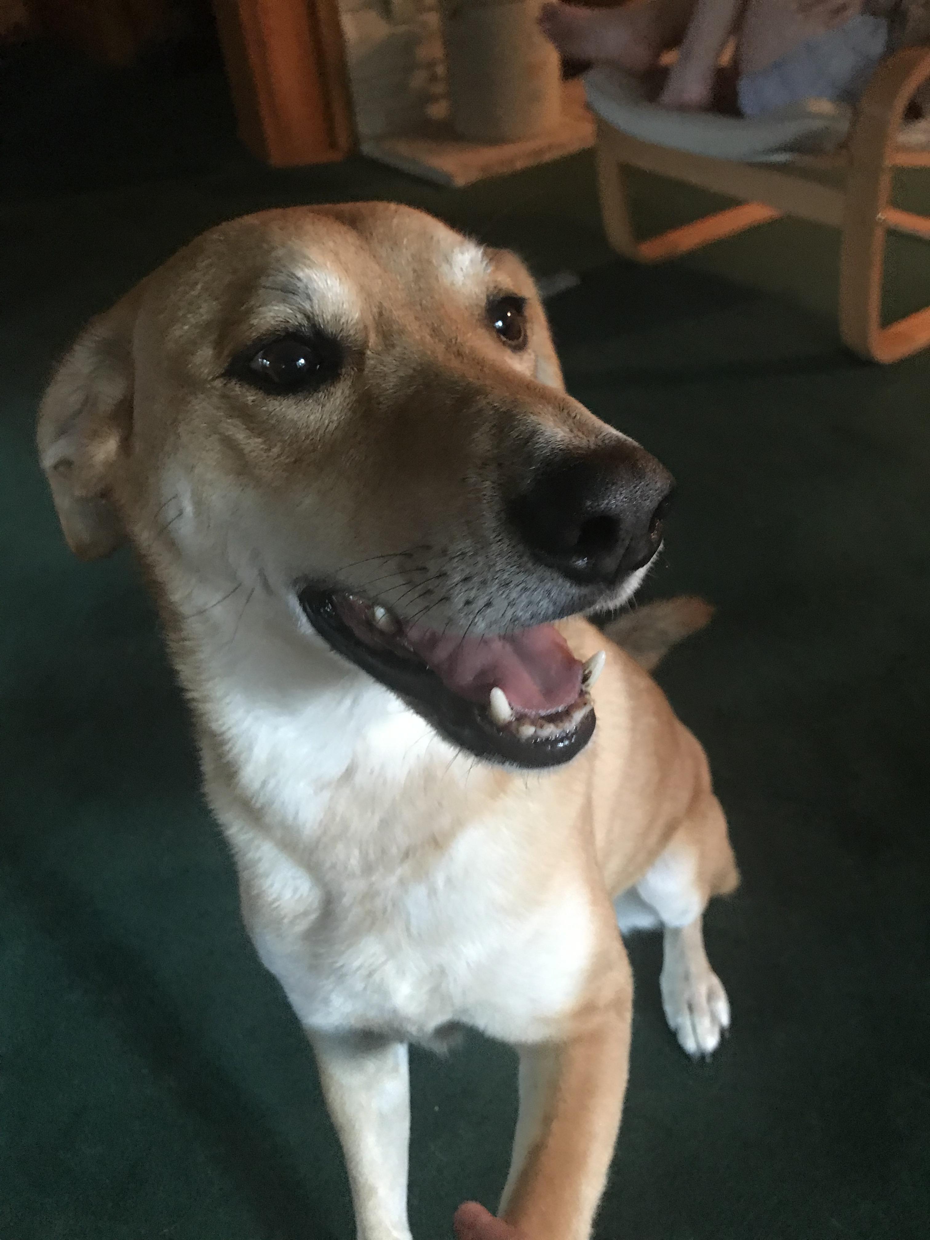 Here is my precious boy. | Scrolller