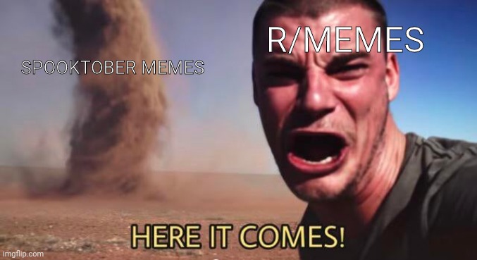 HERE THEY COME! | Scrolller