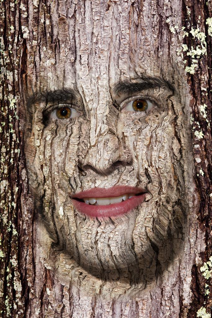 Here we go again | Scrolller