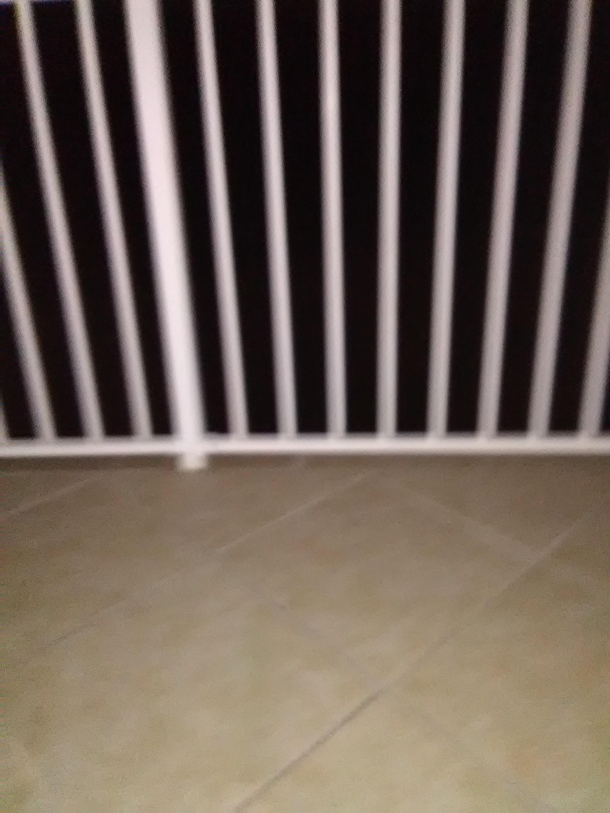 Here's a fence | Scrolller