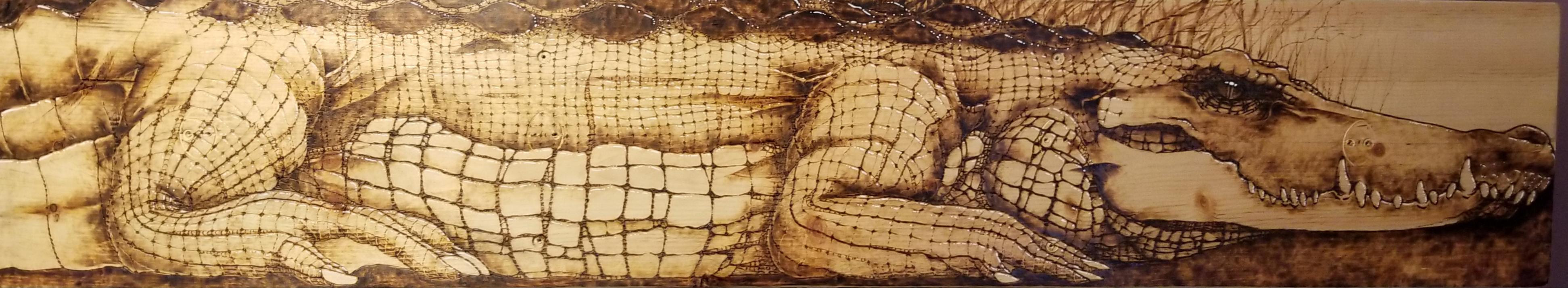 Here's a gator! This was my first woodburning. | Scrolller