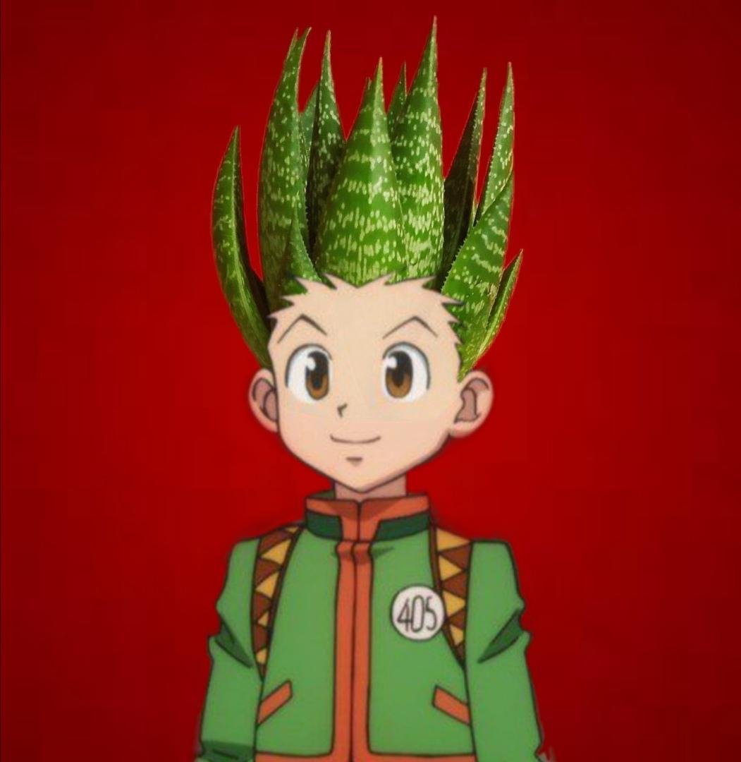 Here's Gon crossed with my Aloe Vera | Scrolller