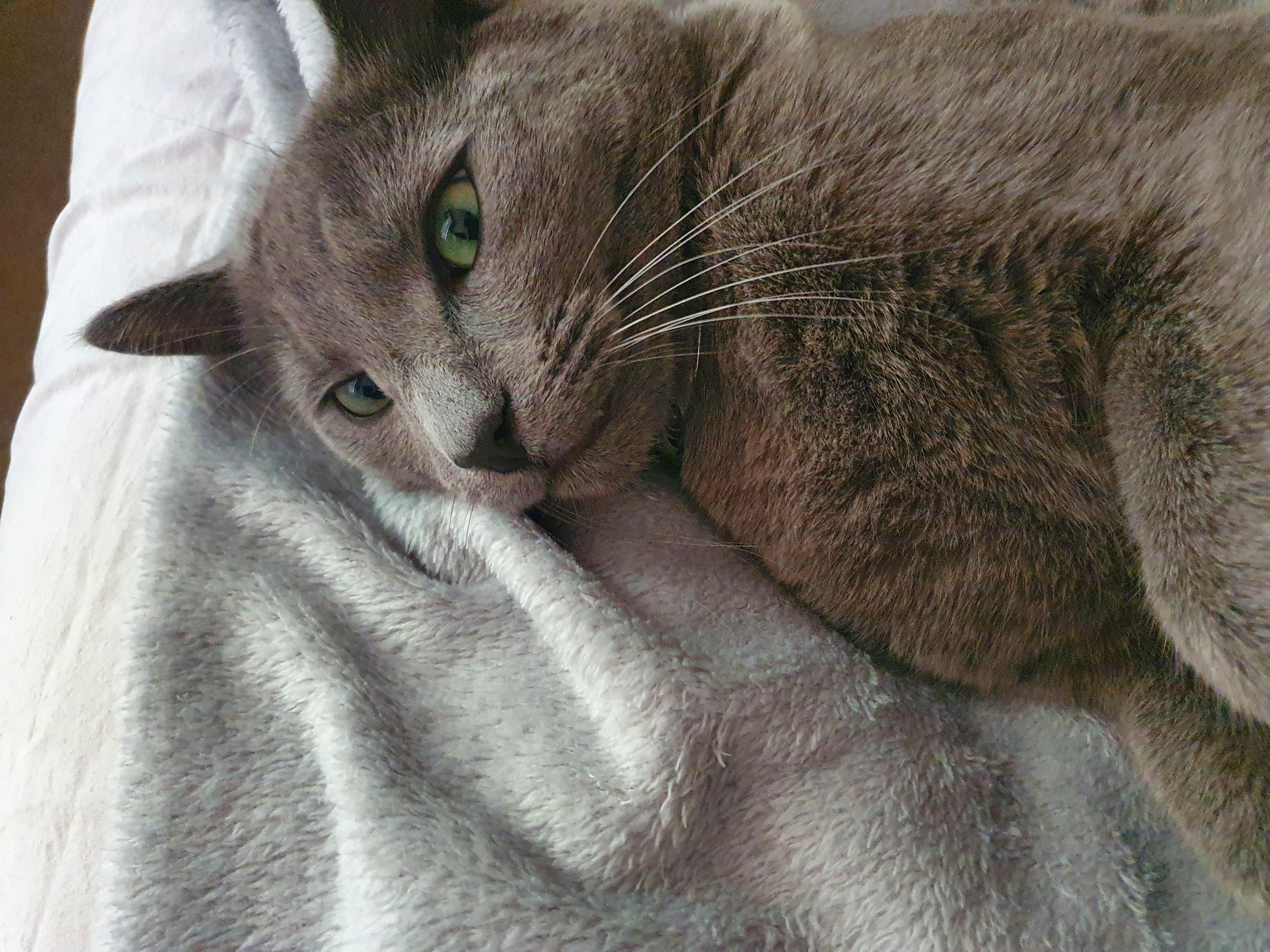 Here's my gorgeous boy!!! | Scrolller