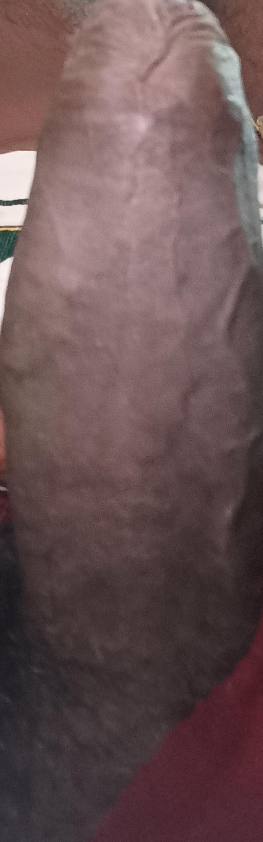 Here's some edible wood | Scrolller