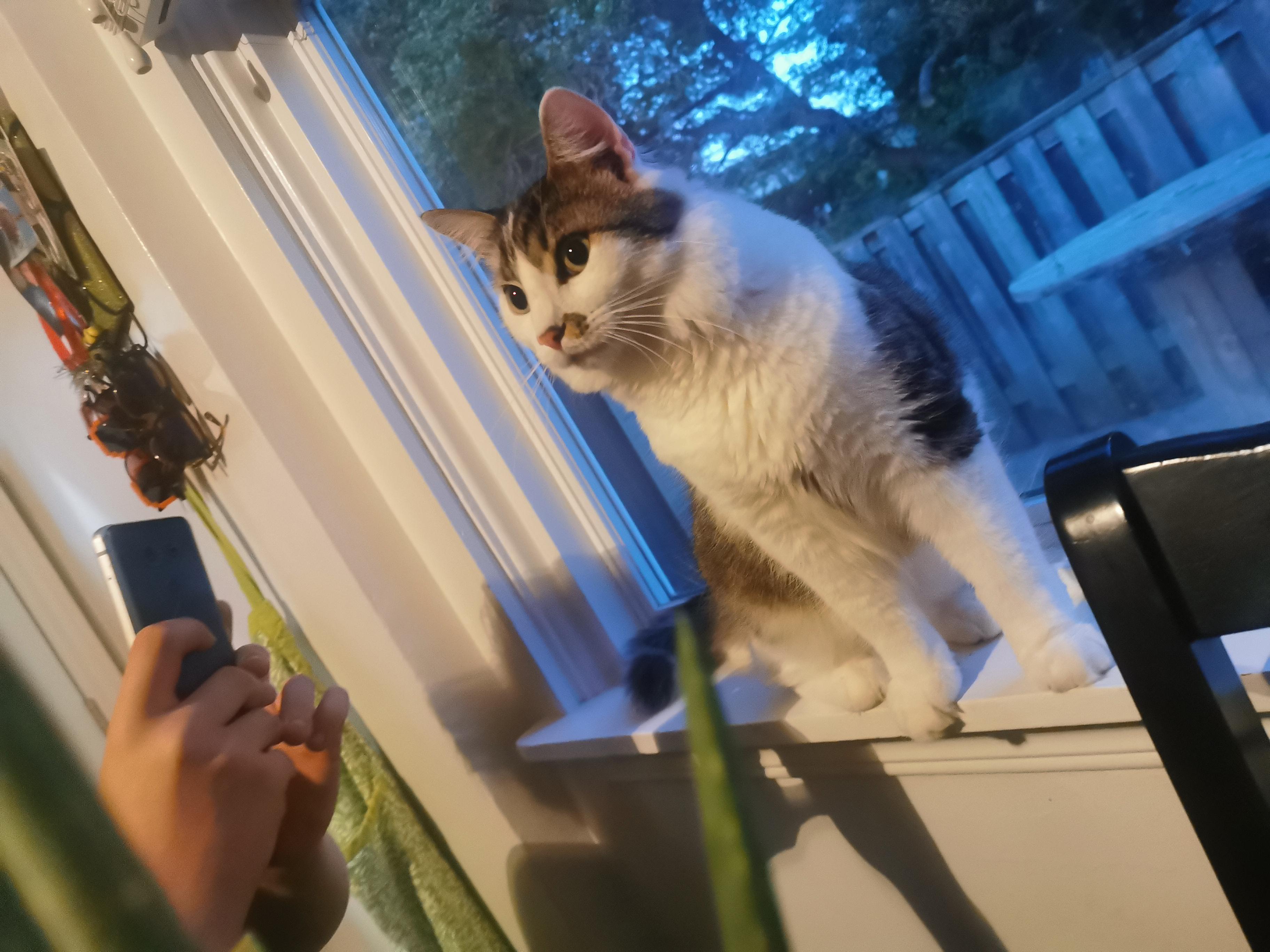 Hes always the spotlight ️ | Scrolller