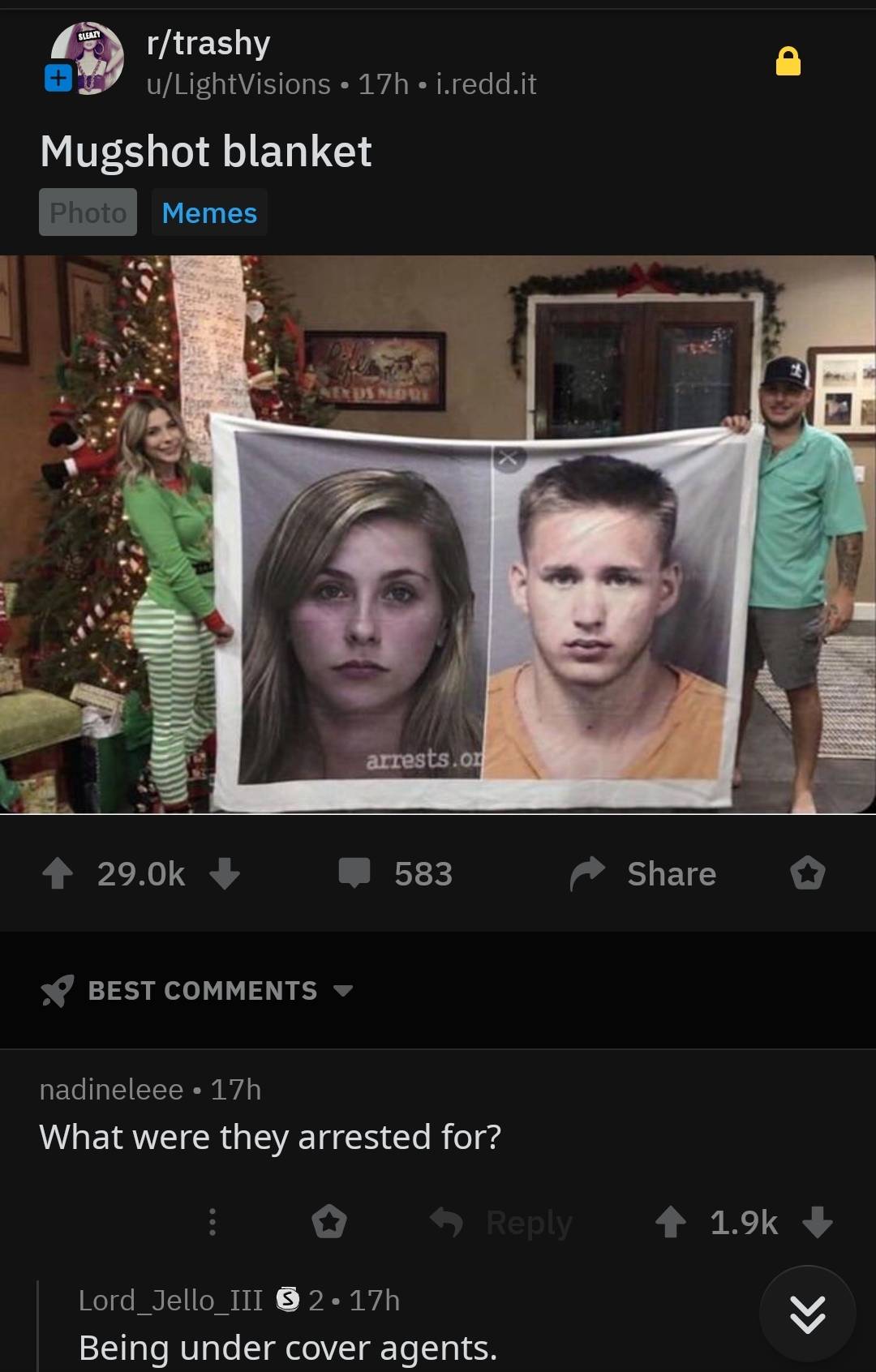 He's got this pun covered | Scrolller