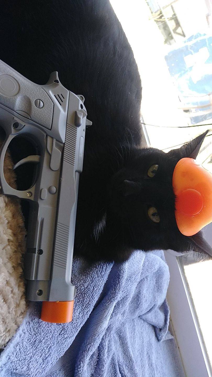 He's ready | Scrolller