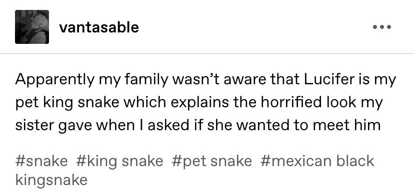 Hey do you wanna meet Lucifer? | Scrolller