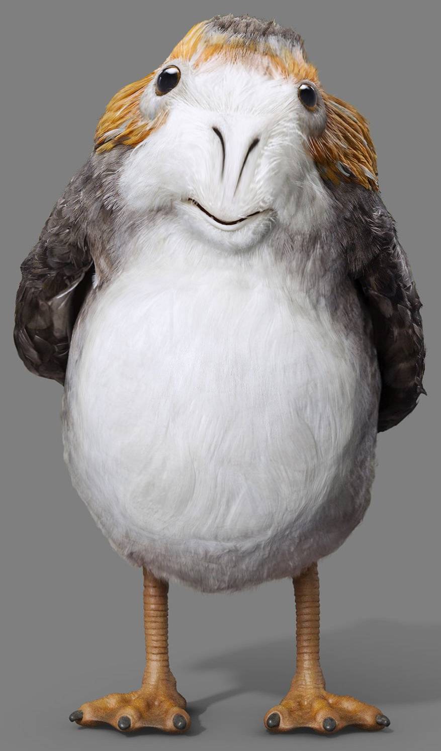 Hey guys, remember Porgs? | Scrolller