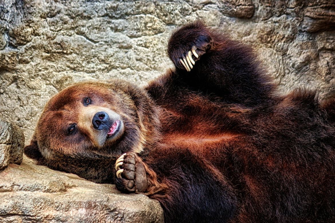 Hey handsome! | Scrolller