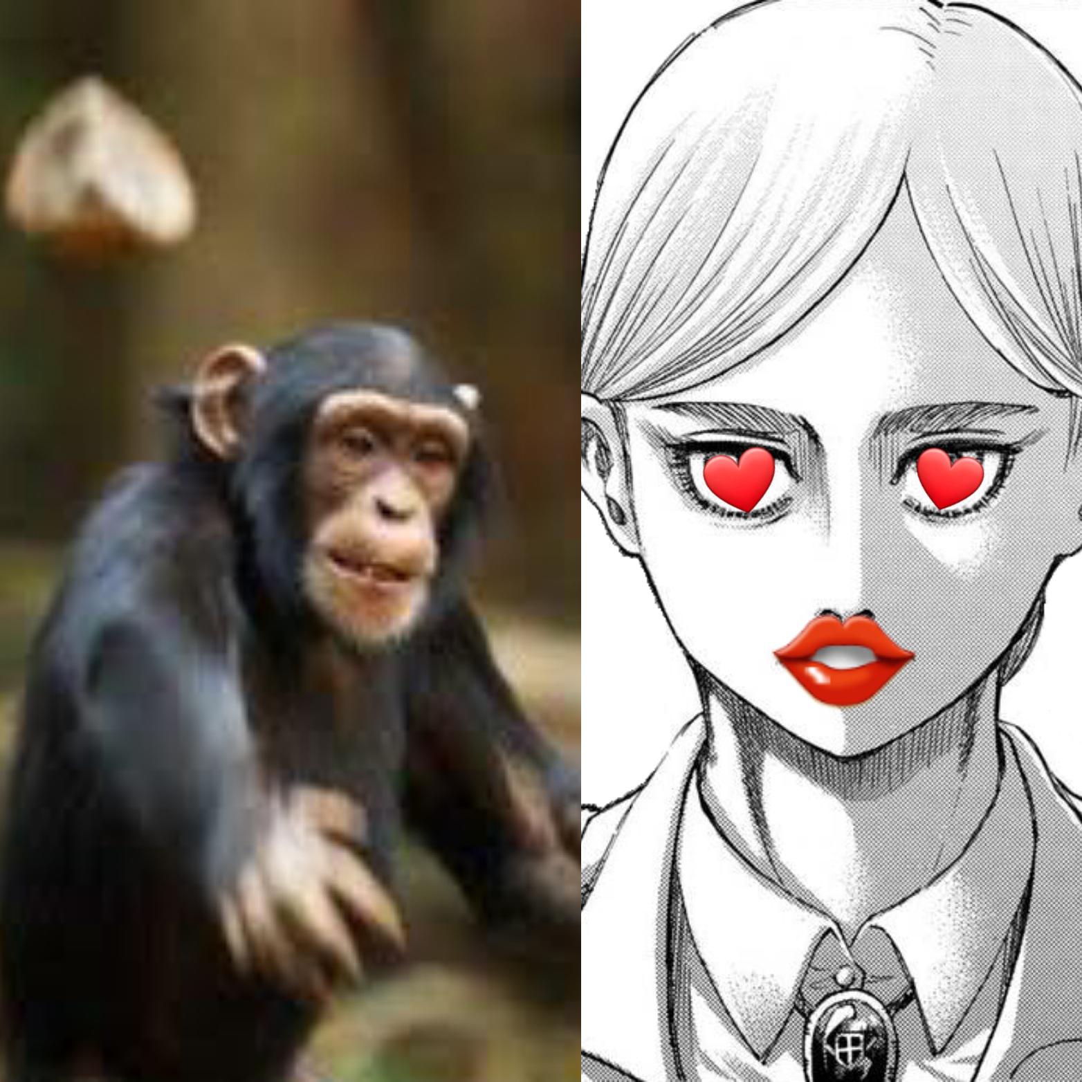 Hey Monkey! She will marry you eventually. | Scrolller