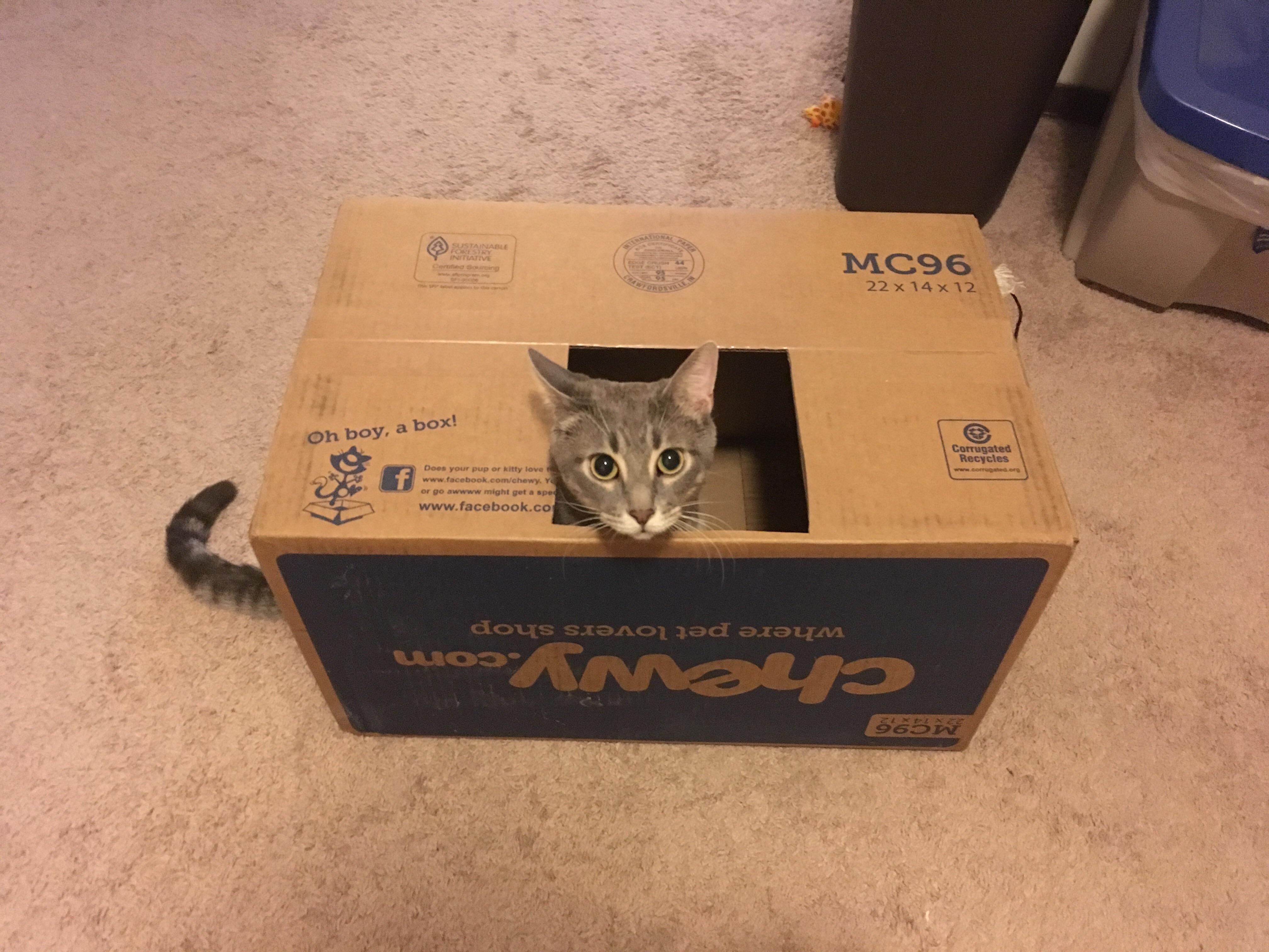 Hey, this box is broken! | Scrolller