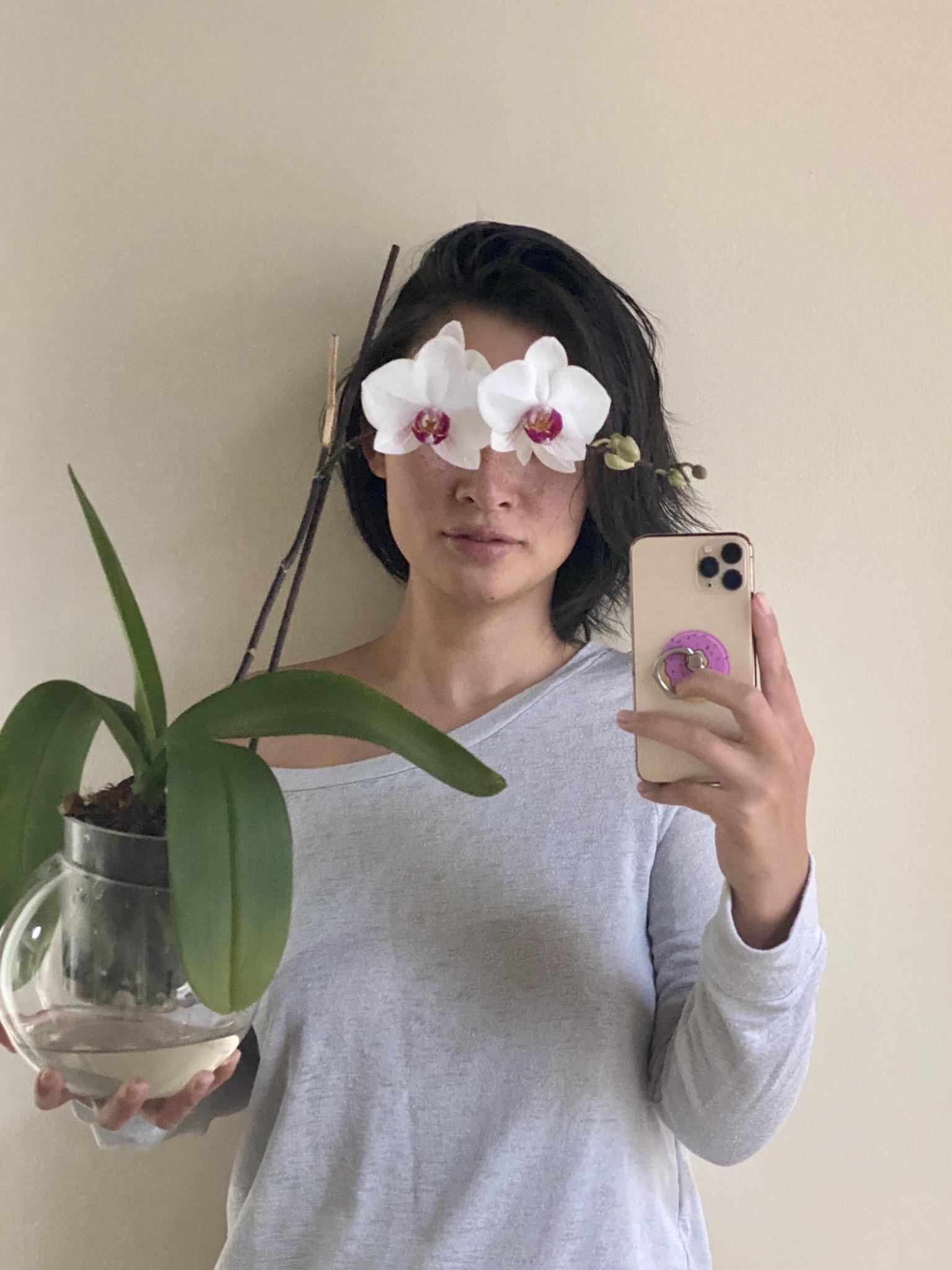 Orchids | Pictures | Scrolller