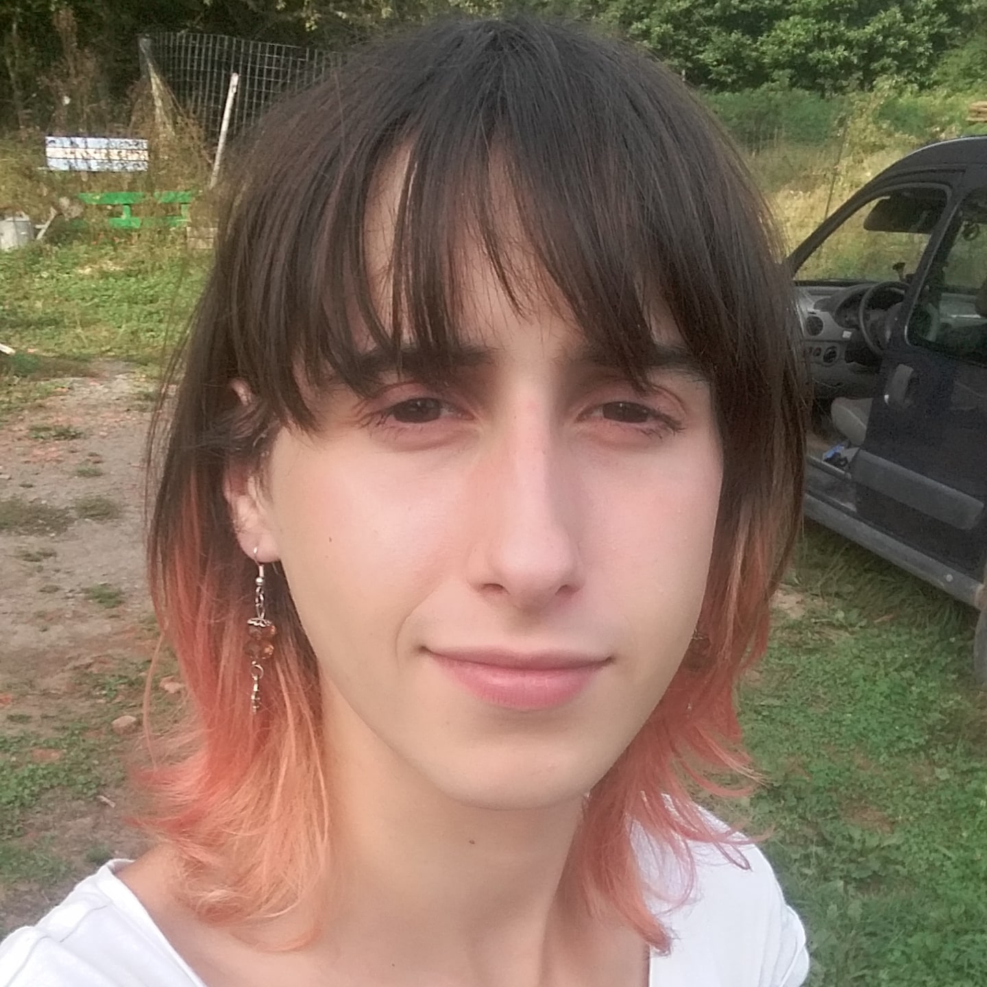 Hi, I'm woman, mtf, 5months on hrt. Do i pass ? Any tips ? ( i'm french ...