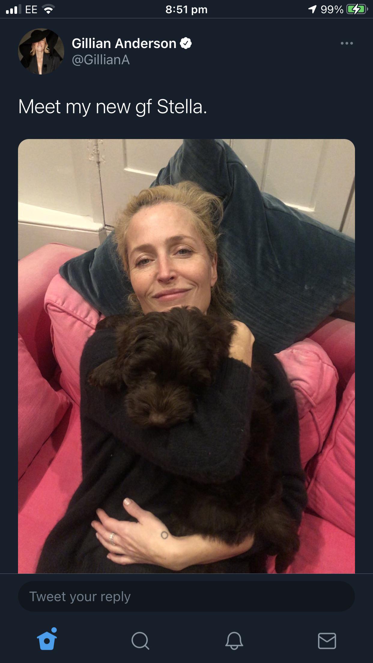 Hi Stella | Scrolller