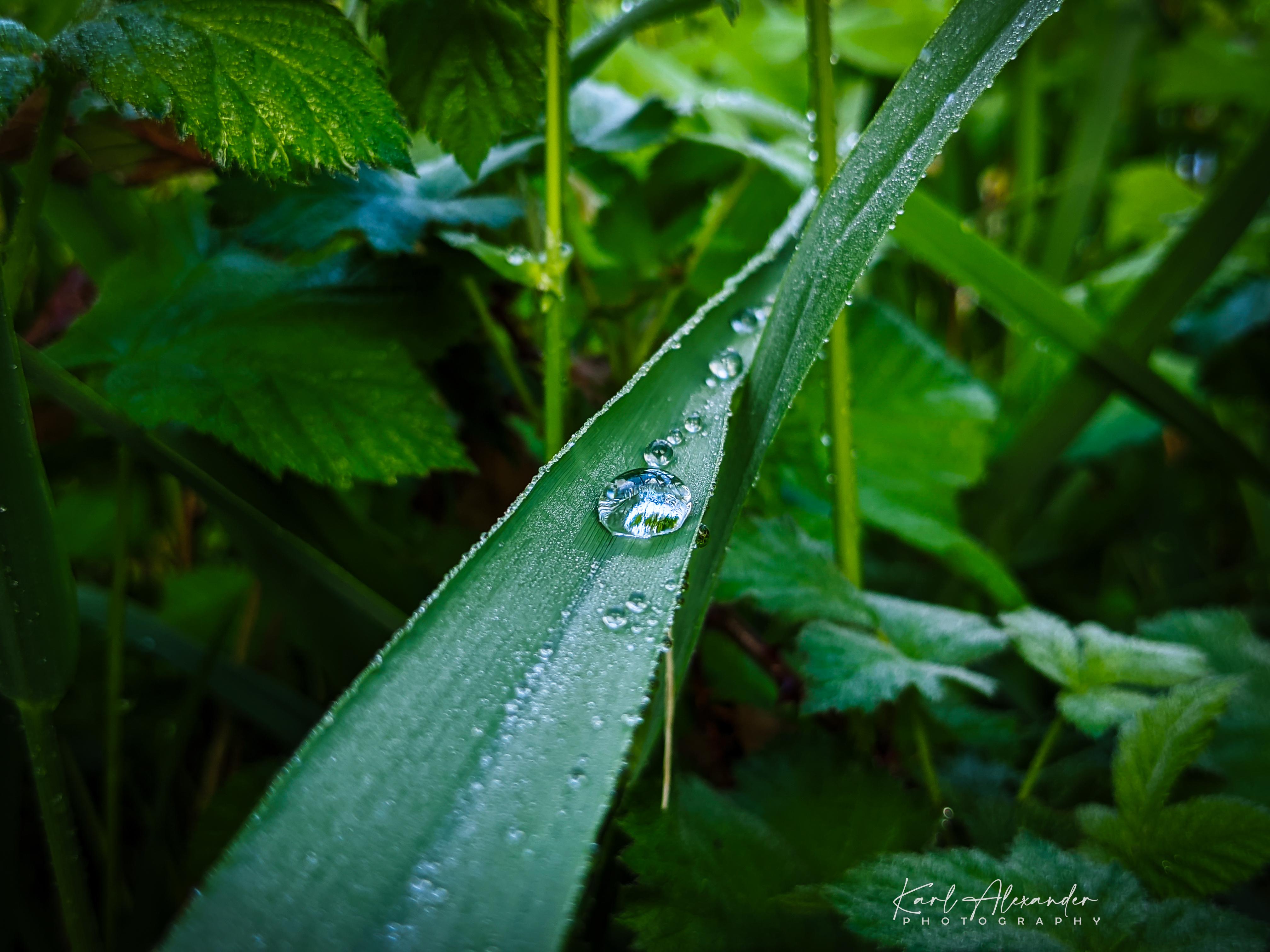 Hidden Gem | Scrolller