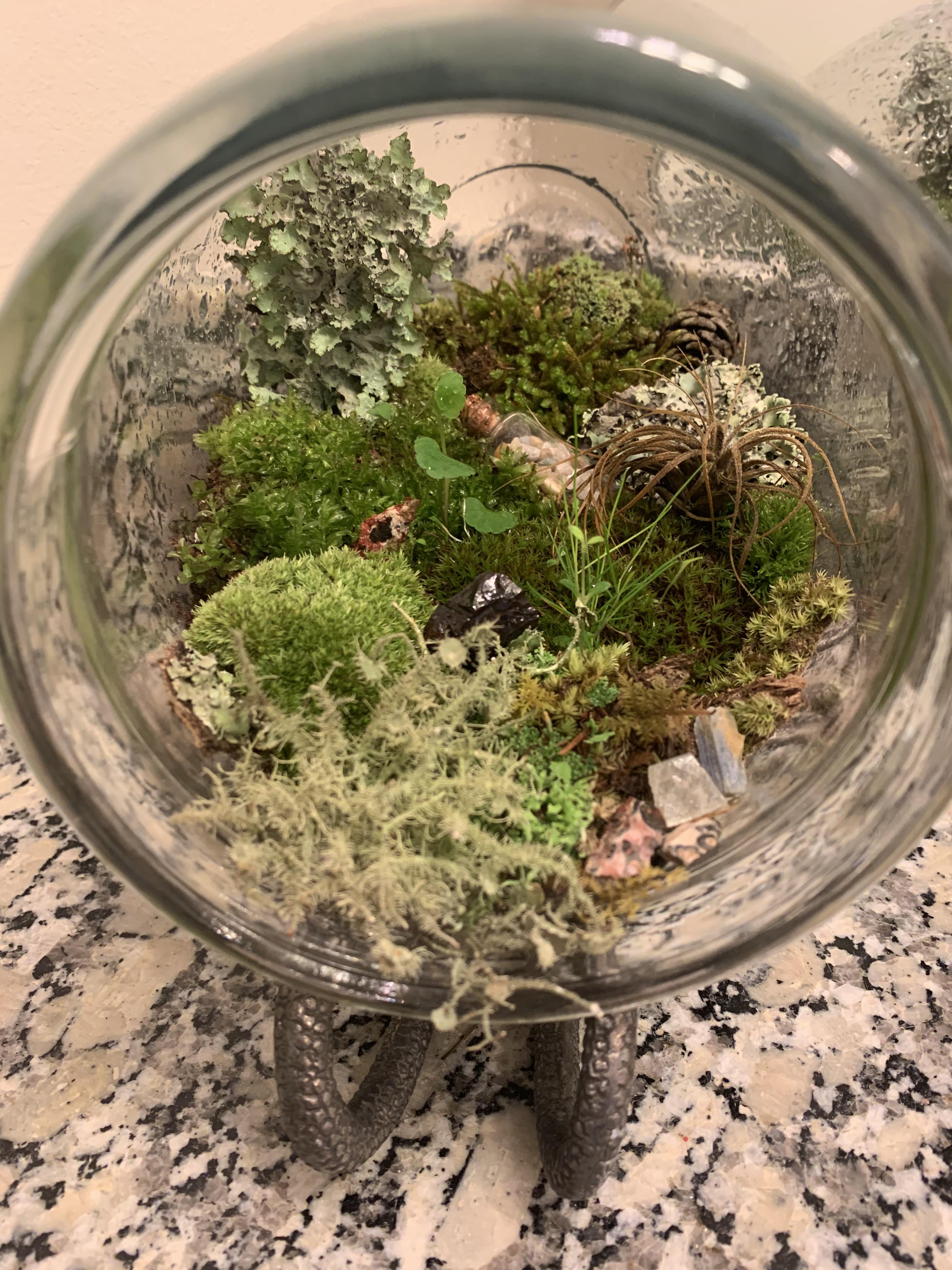 Hidden treasure | Scrolller